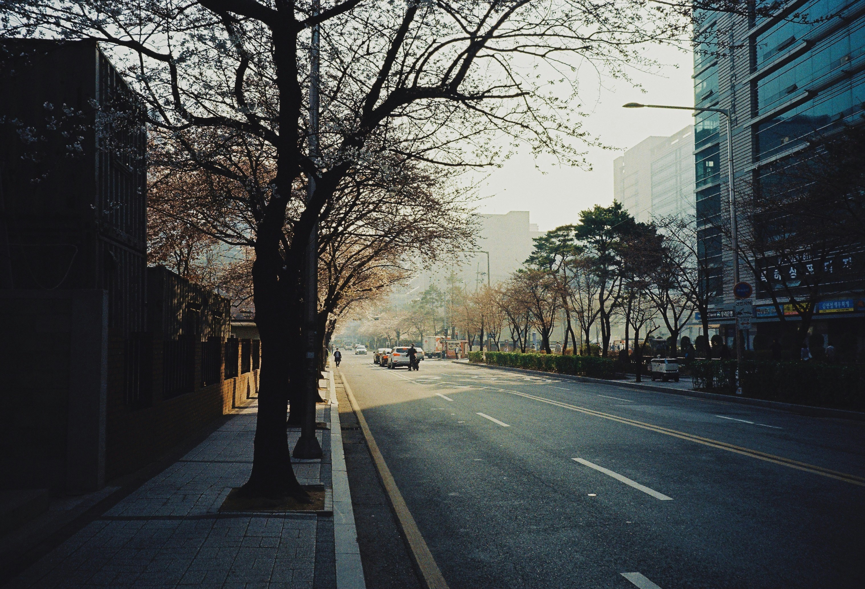 Photo by Clark Gu with Minolta TC-1