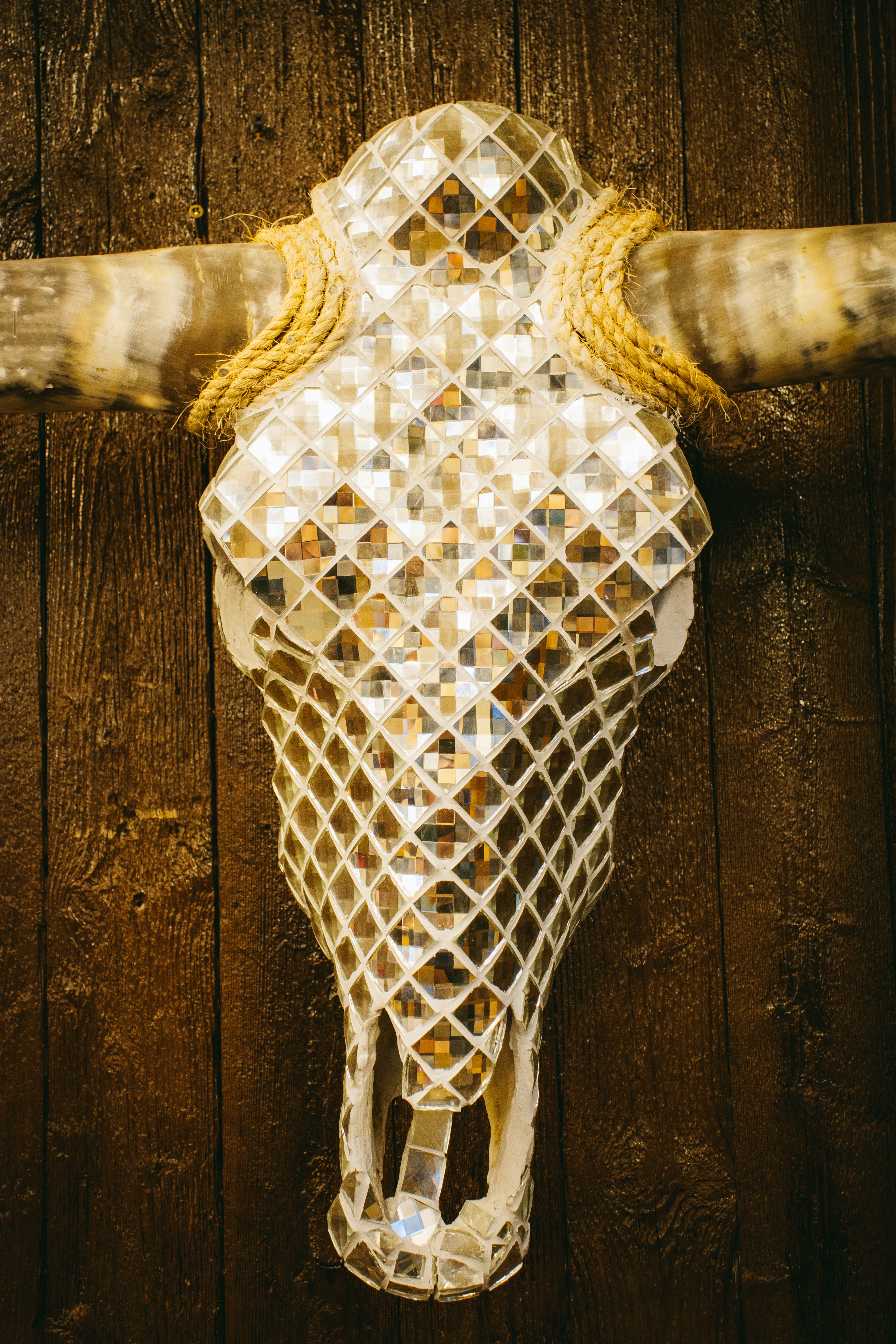Faceted Heritage: Diamond-Grid Bull Skull on Weathered Wood