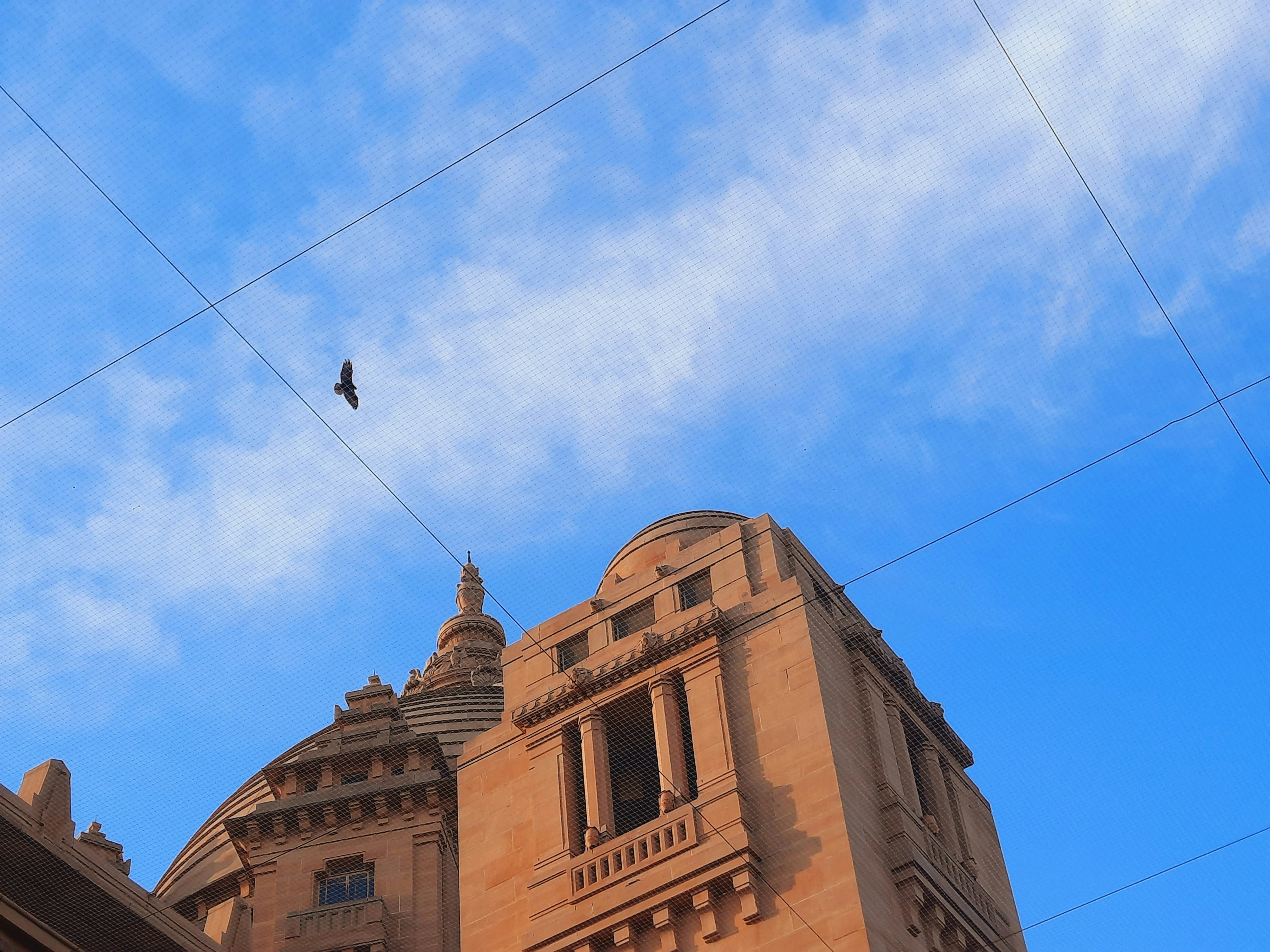 a bird is sitting on a wire in front of a building