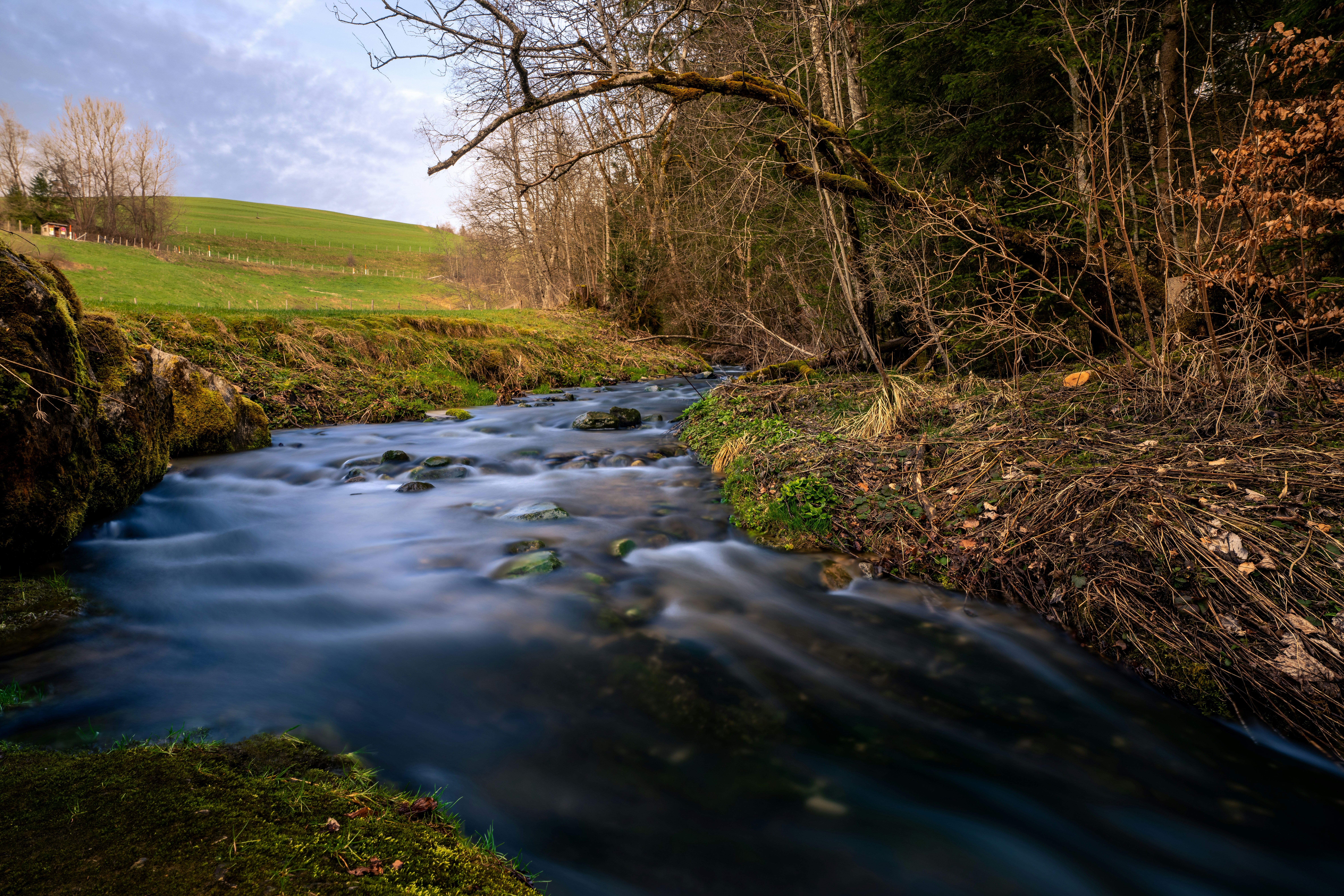 A stream running through a lush green forest photo – Free Rettenberg ...
