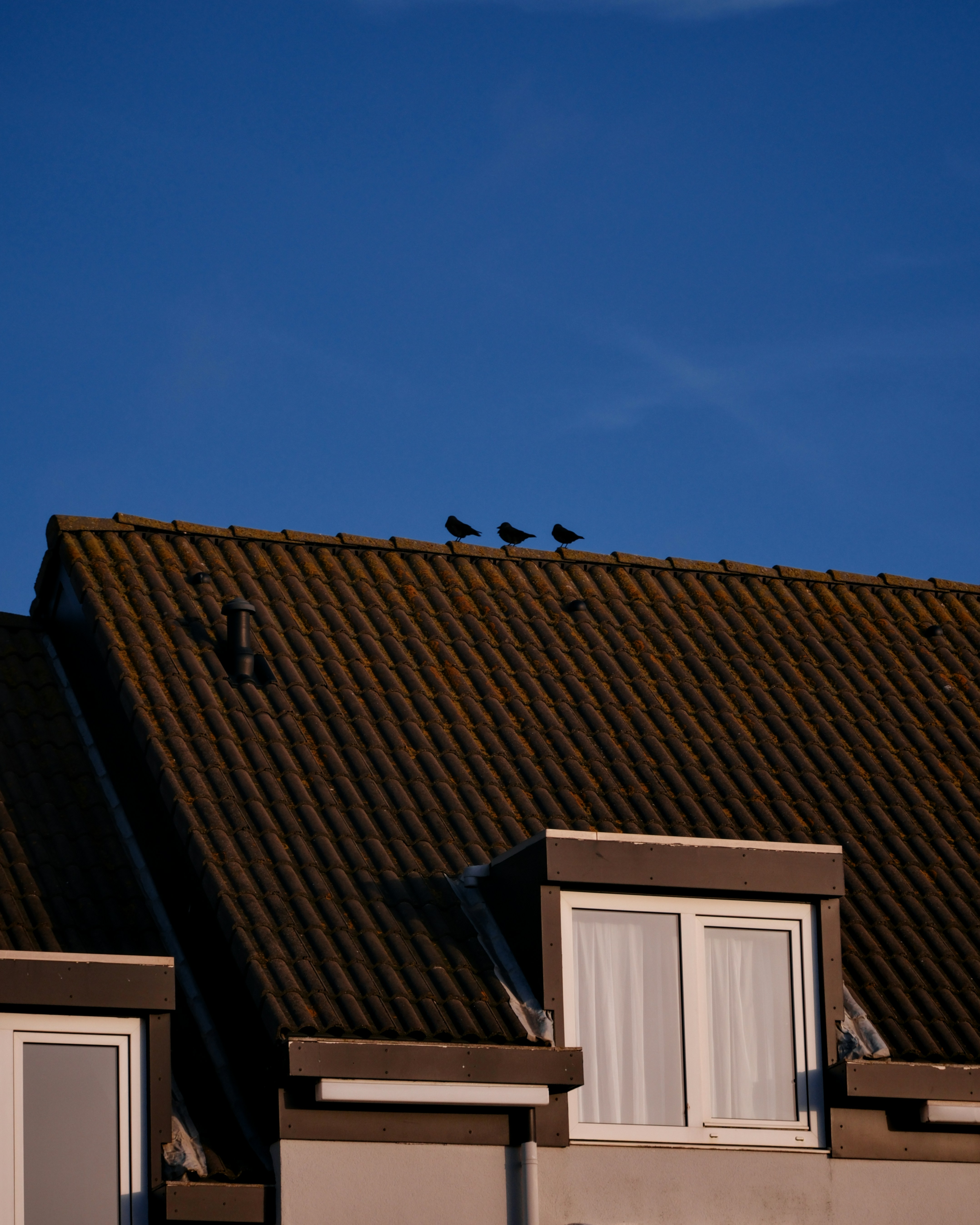 Photo by Alex T with Fujifilm X-H2