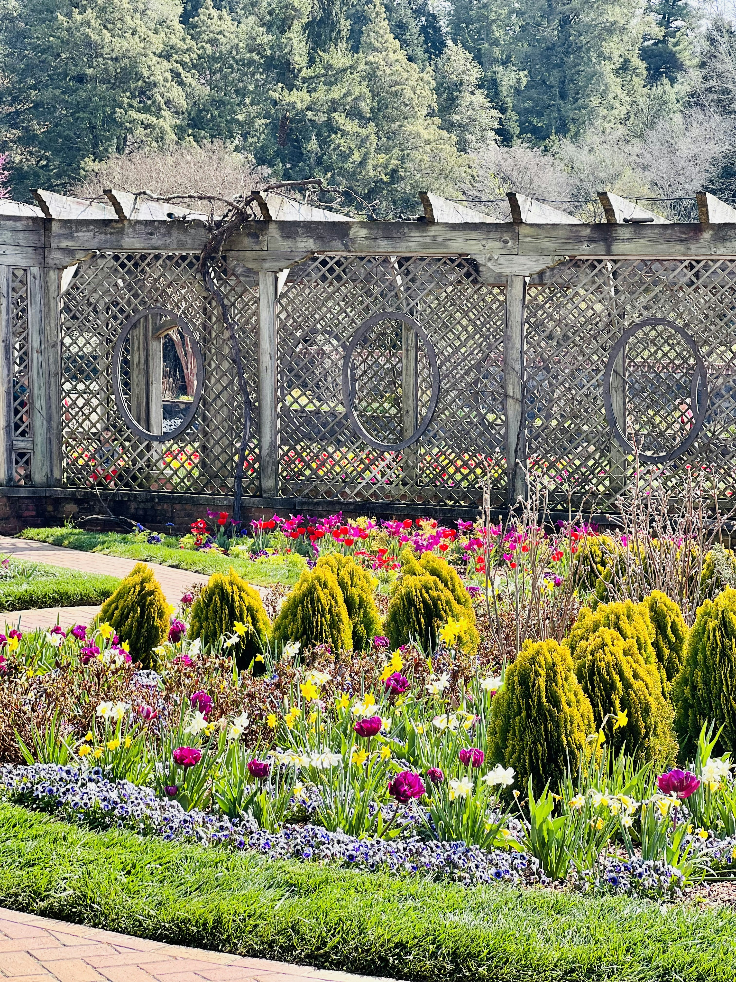 A garden with flowers and a fence in the background photo – Free ...