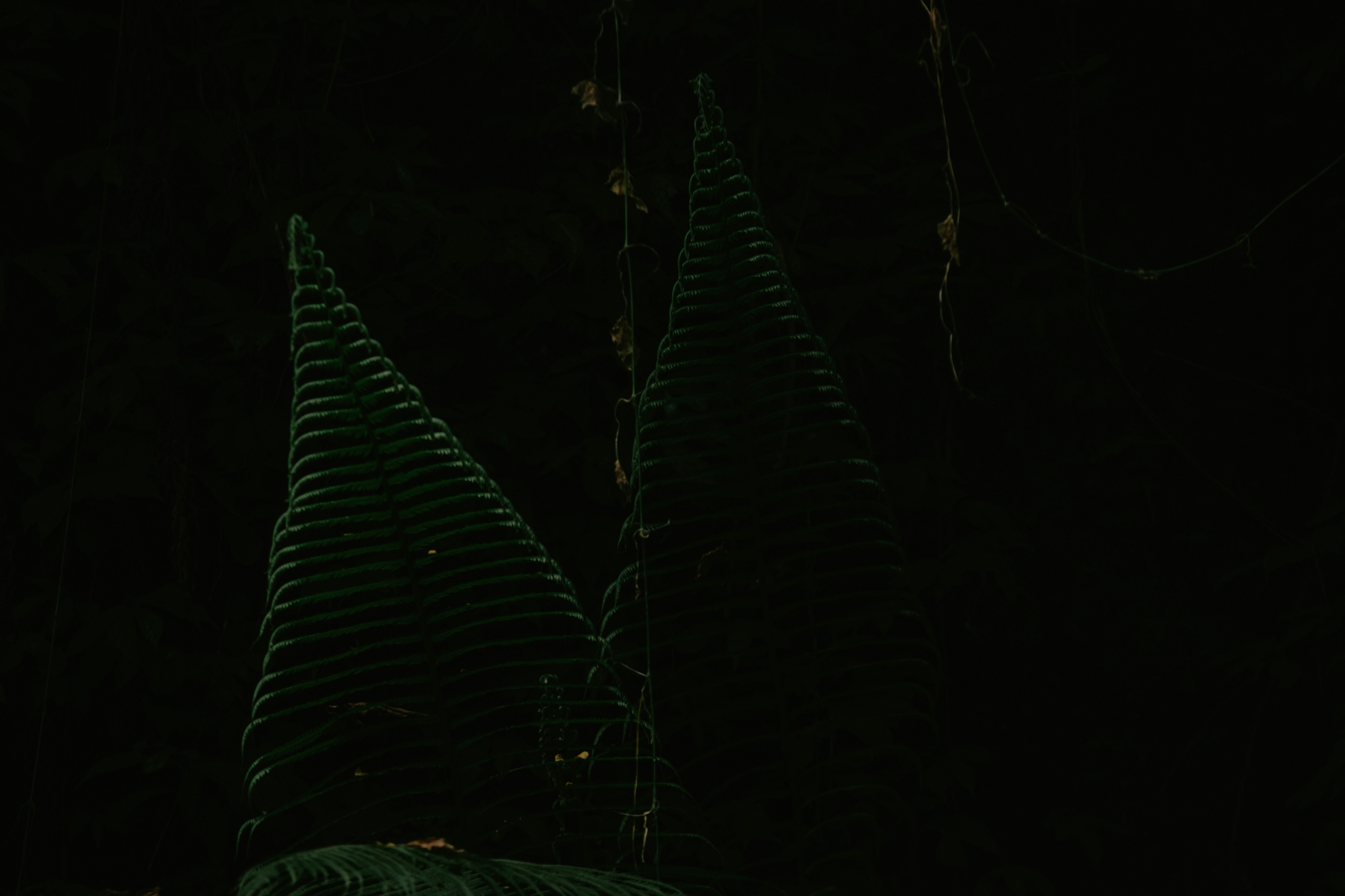 a couple of green cones sitting on top of a lush green field