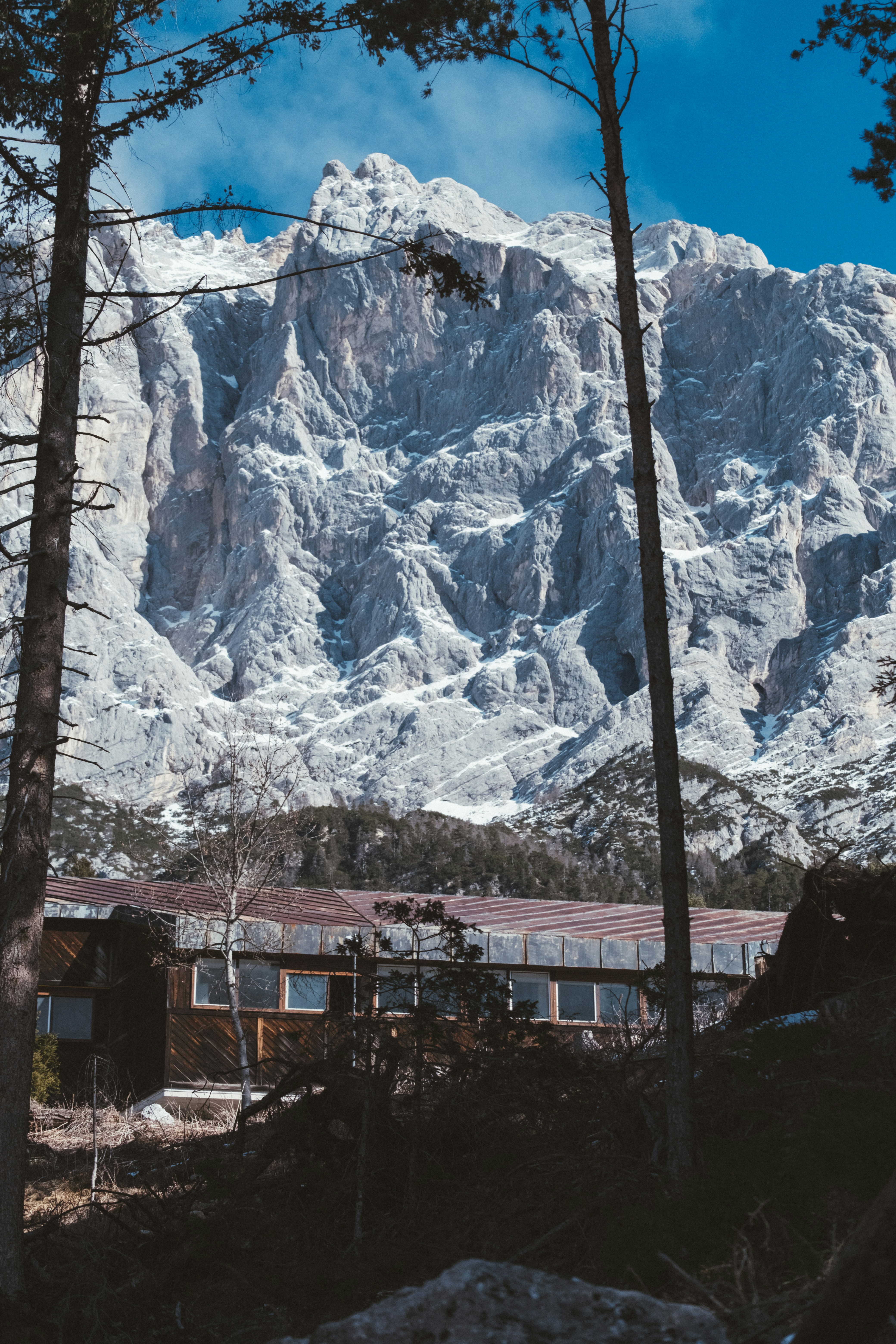 Crystalline Peak Framed by Pines Over a Rustic Mountain Lodge