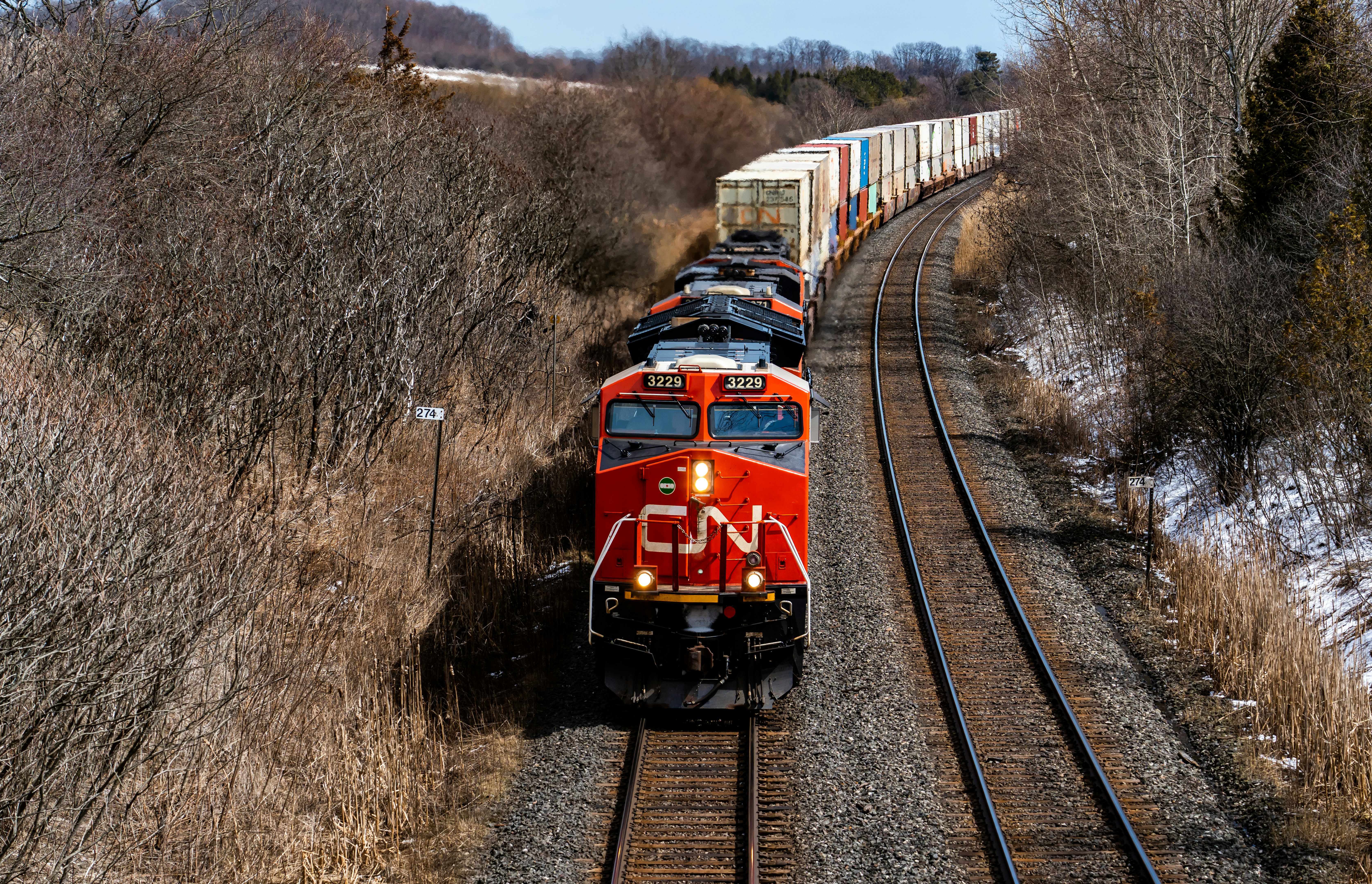 a train with a bright red engine coming towards an overpass | a red train traveling down train tracks next to a forest