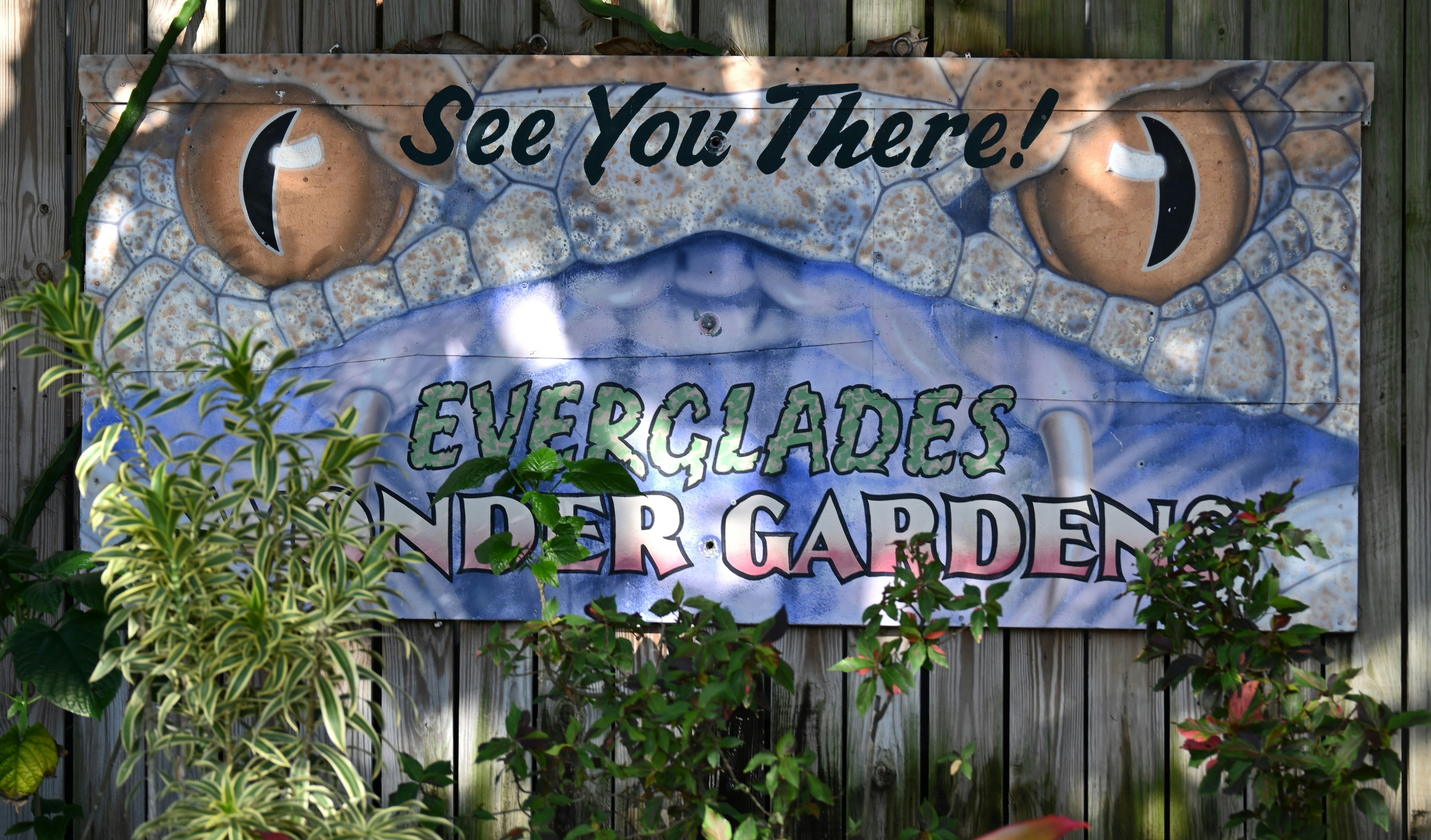 Colorful sign with reptilian eyes promoting Everglades Wonder Gardens, surrounded by foliage.