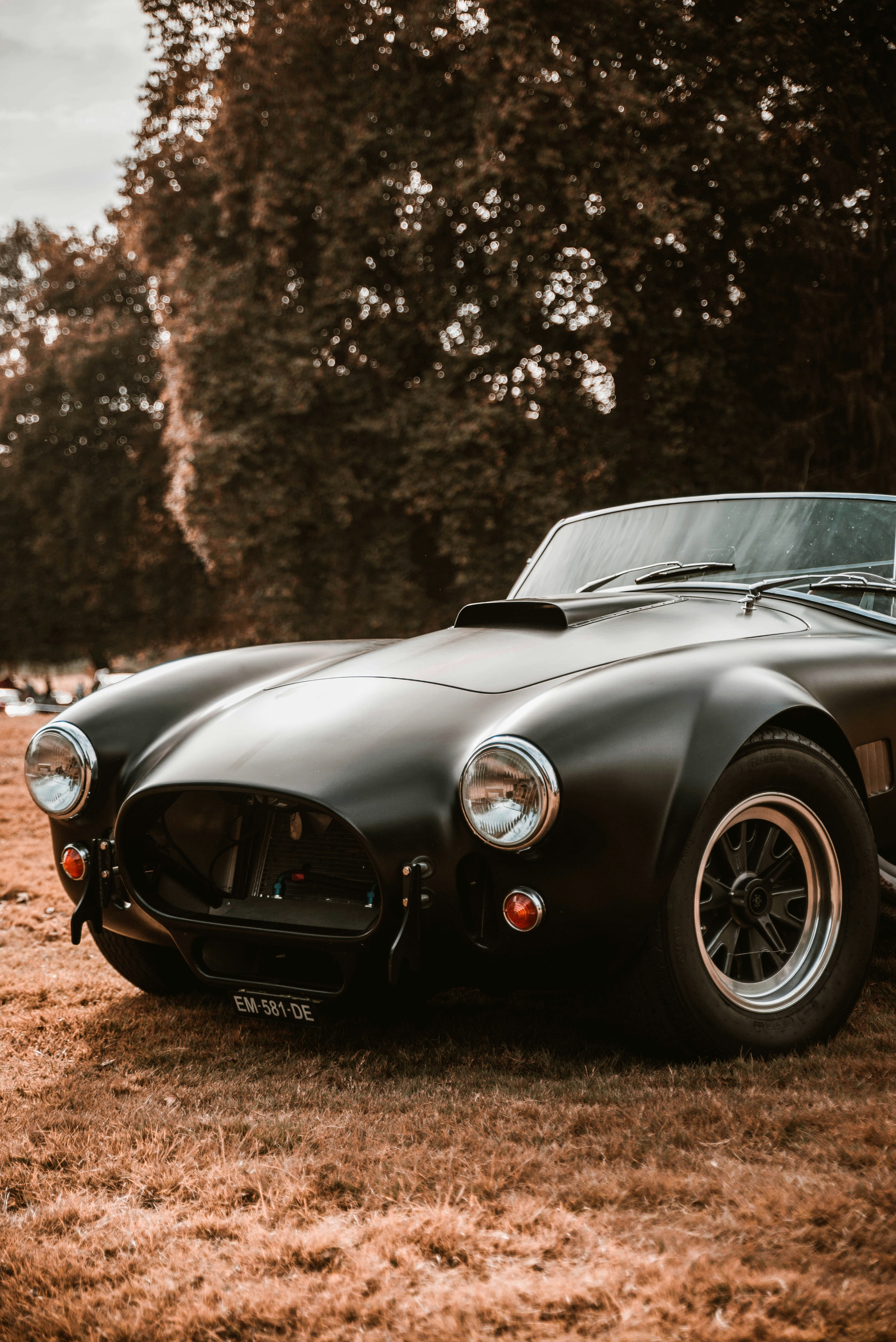 Cobra Car