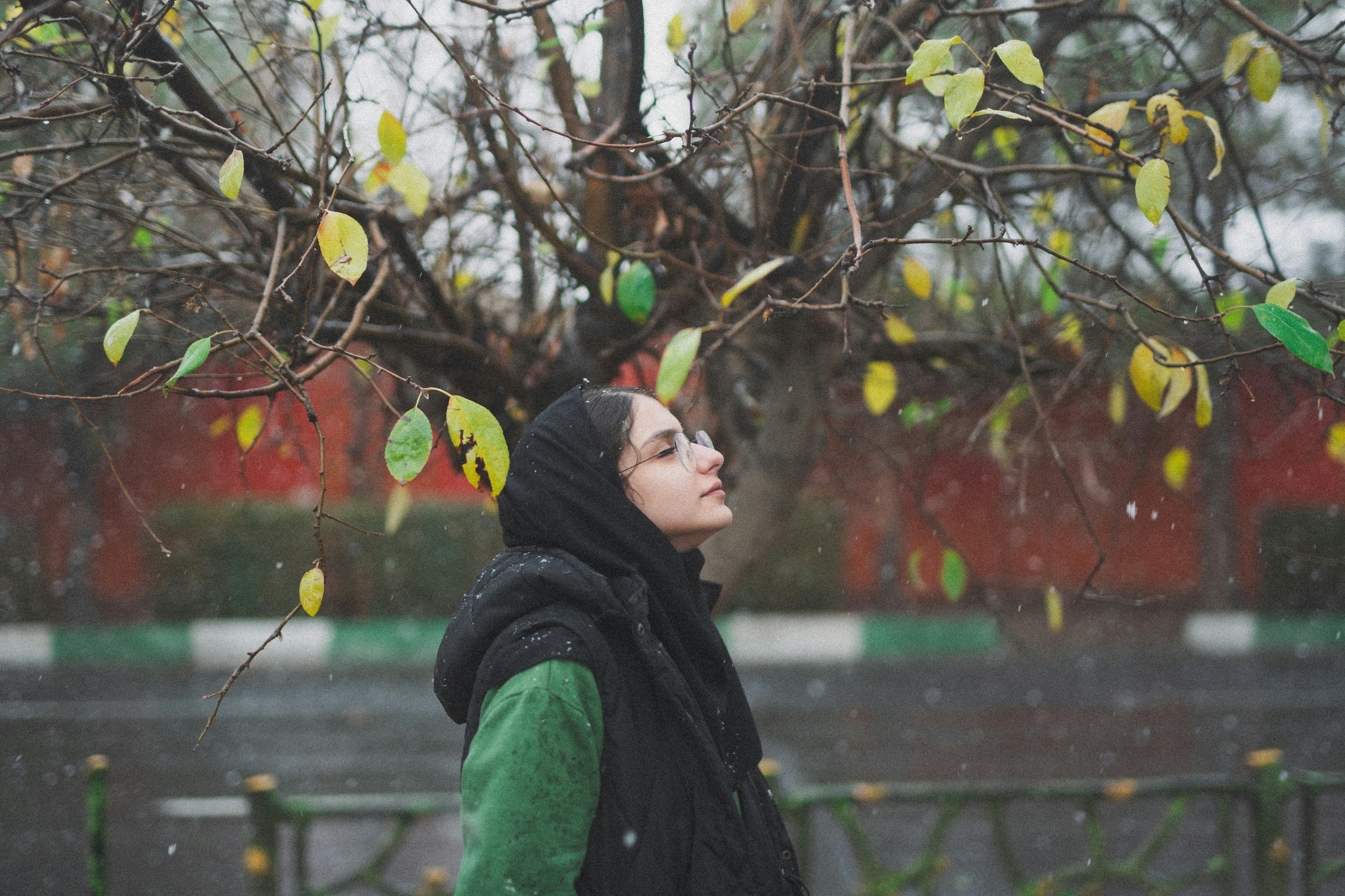 A woman standing under a tree in the rain photo – Free Film look Image ...