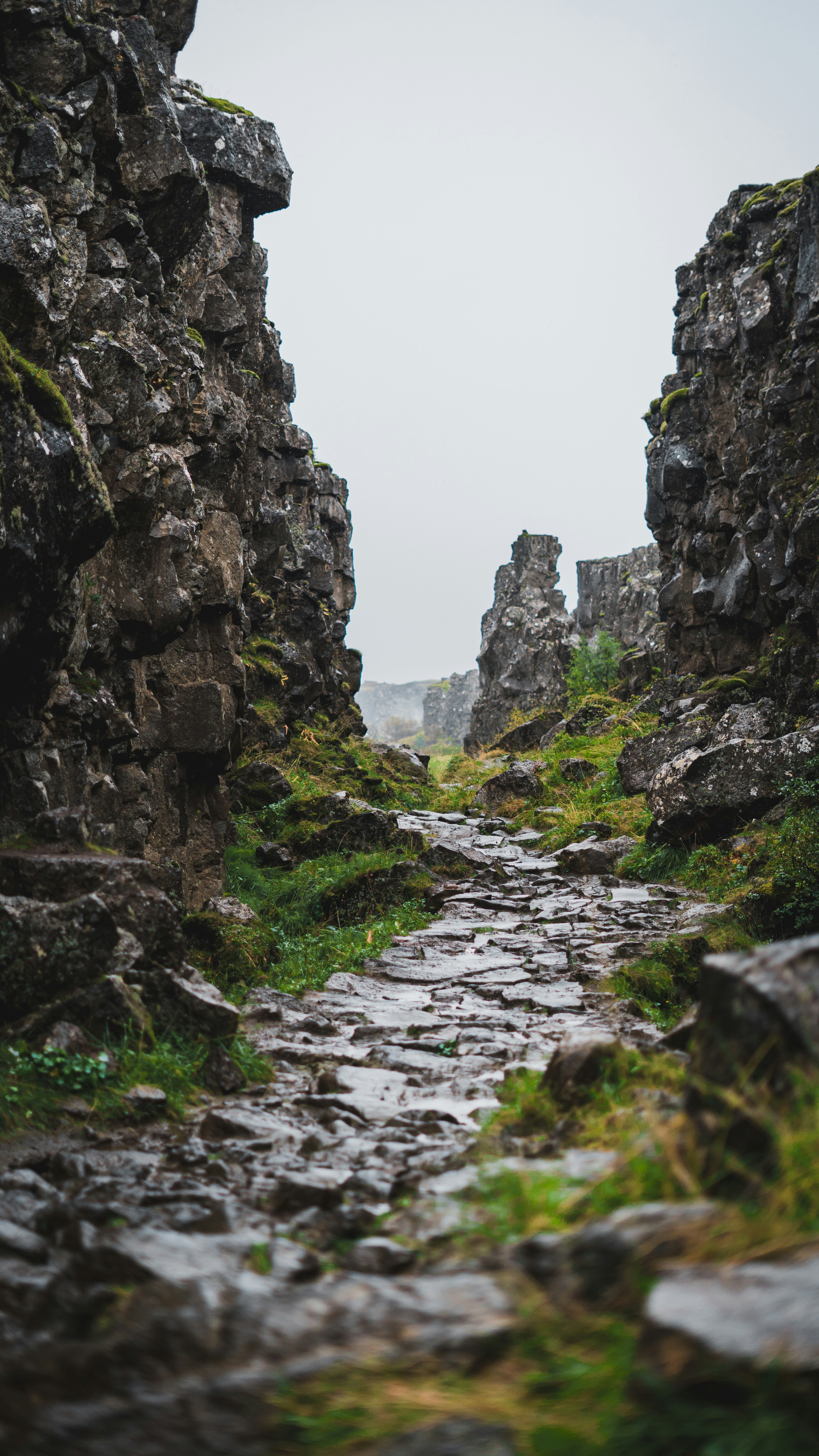 Photo by Kyler with Sony Alpha 7 III