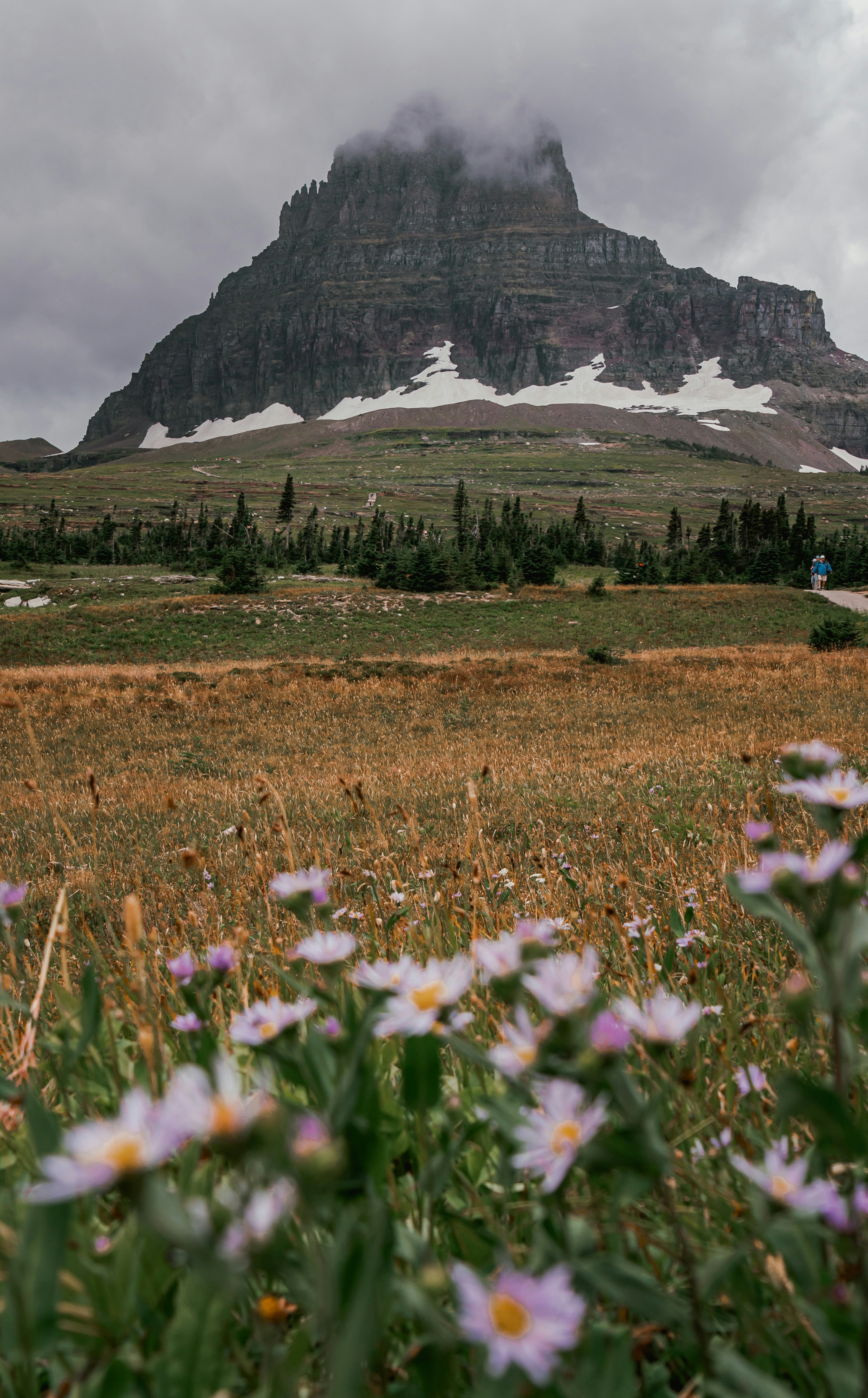 Photo by Kyler with Sony Alpha 7 IV