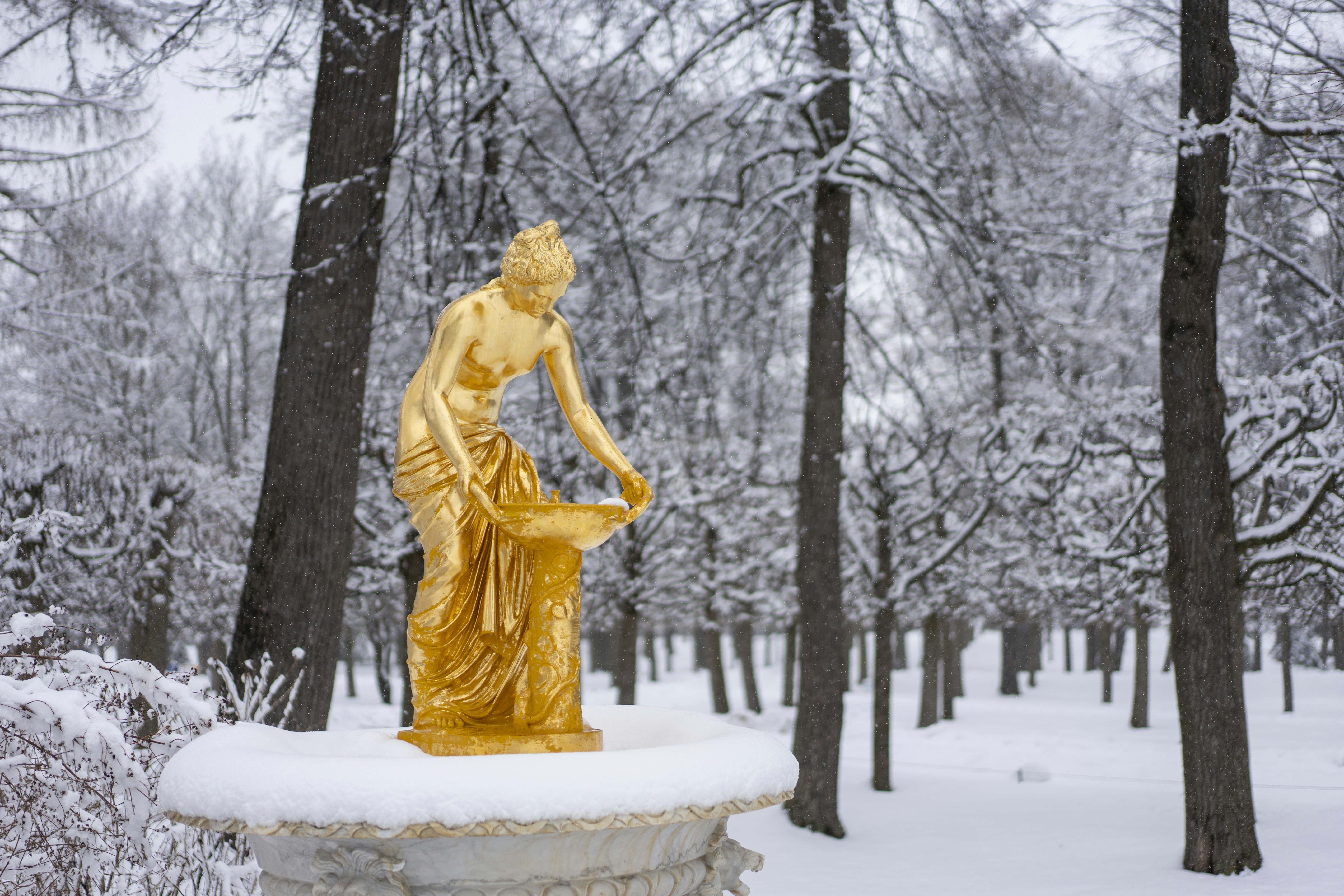 Golden Figure on Snow-Dusted Pedestal Amid Winter Pines