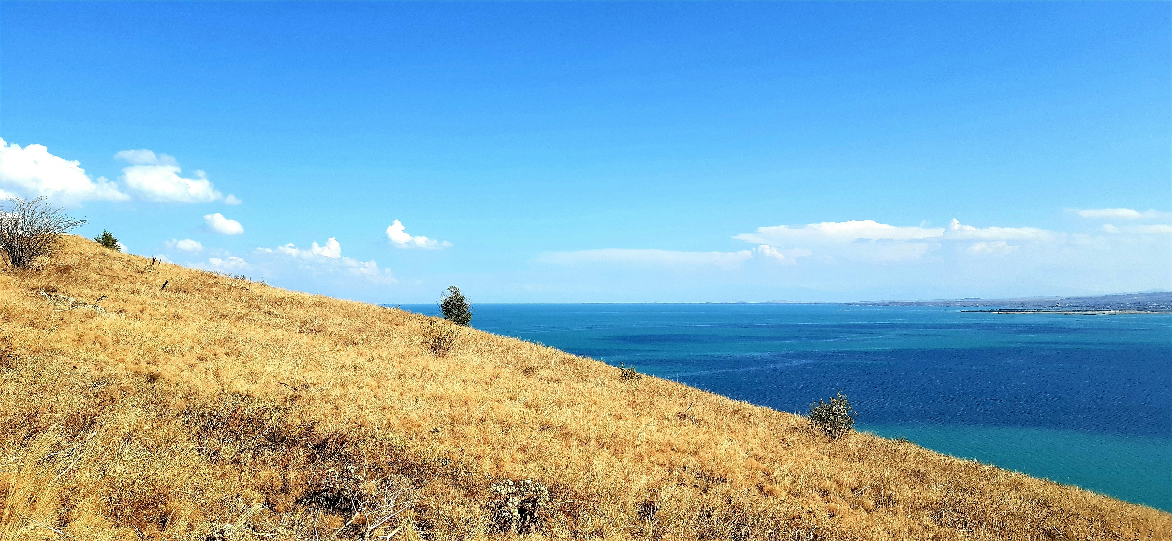 Photo by Gourgen Karapetyan with Samsung Galaxy A40