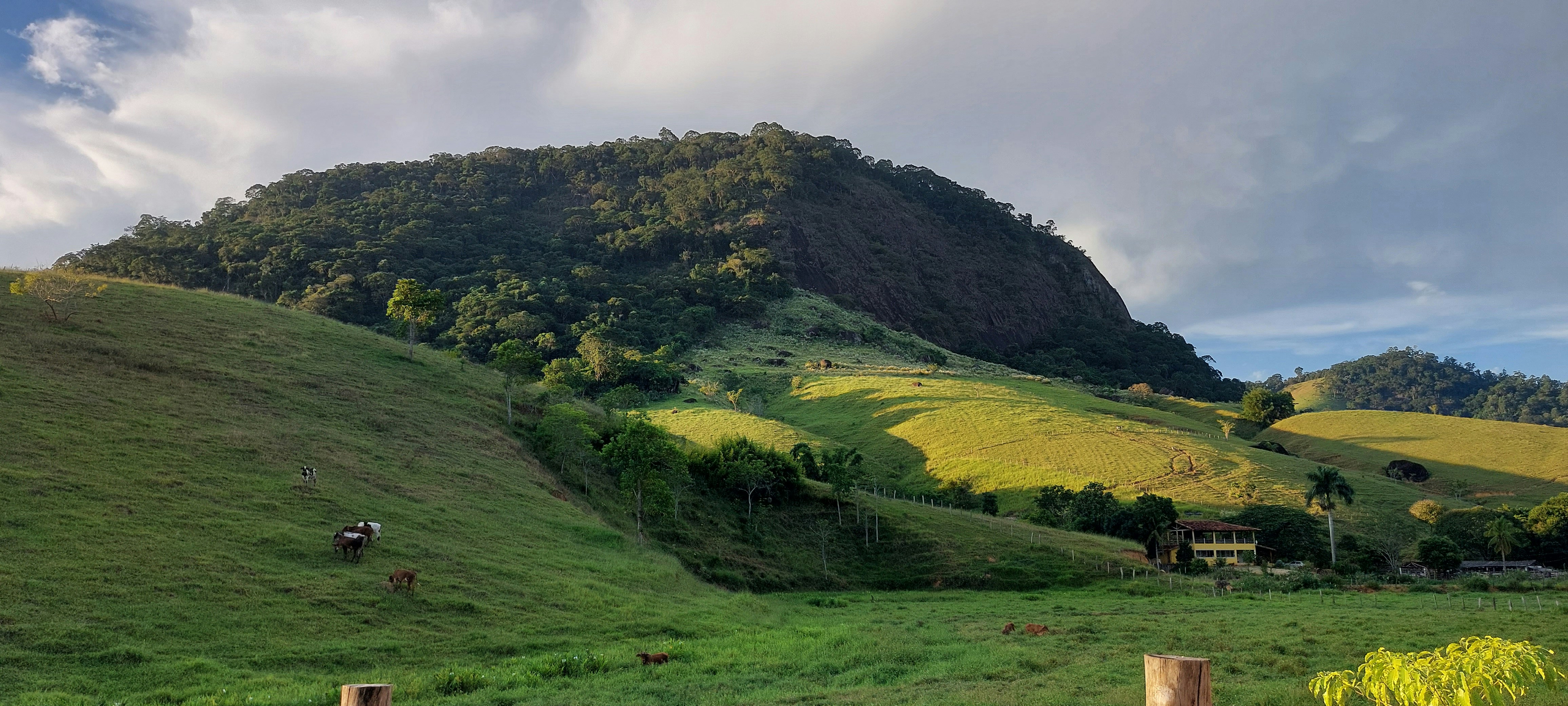 A lush green hillside covered in lush green grass photo – Free Rural ...