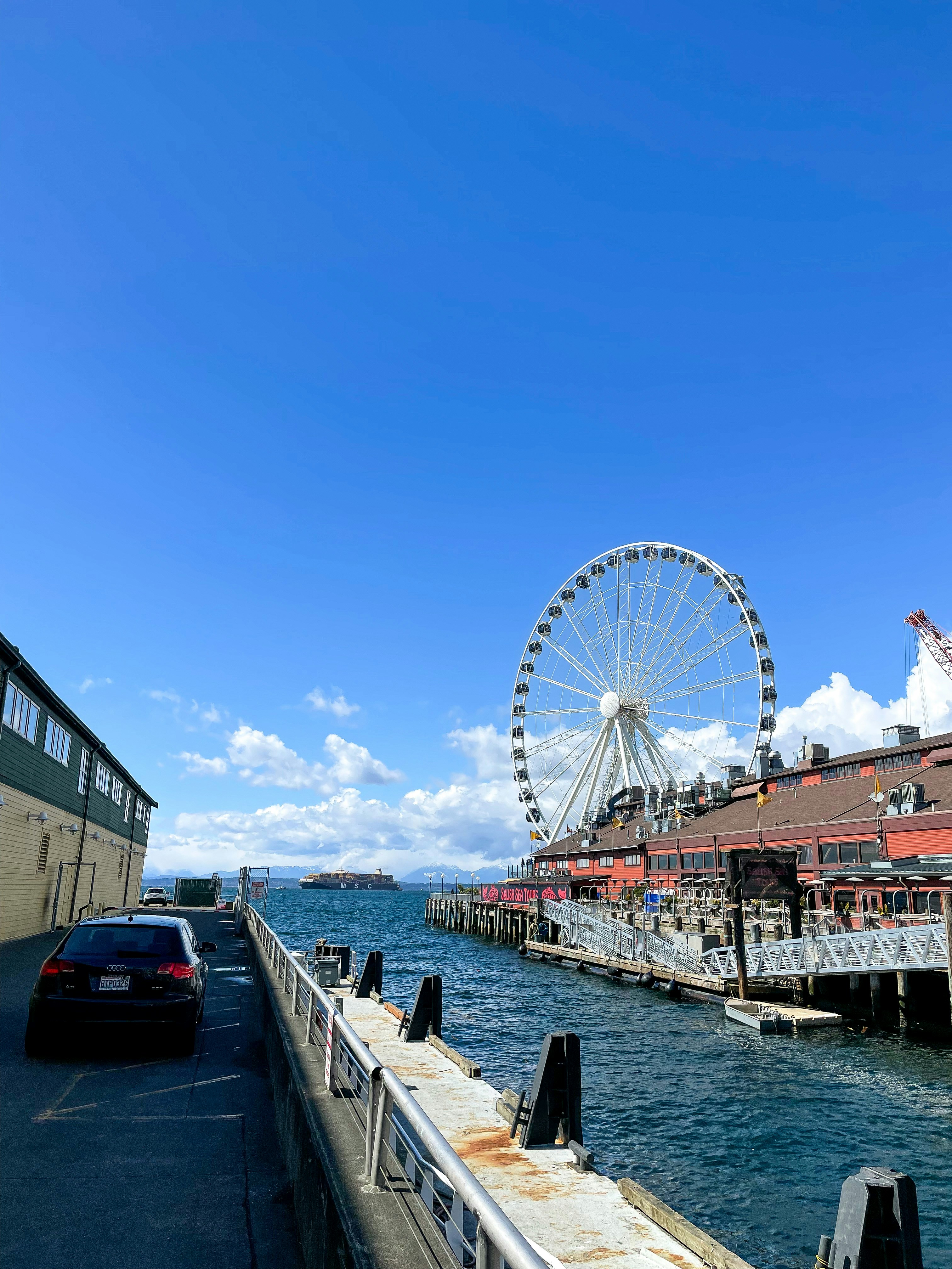 a large ferris wheel sitting next to a pier