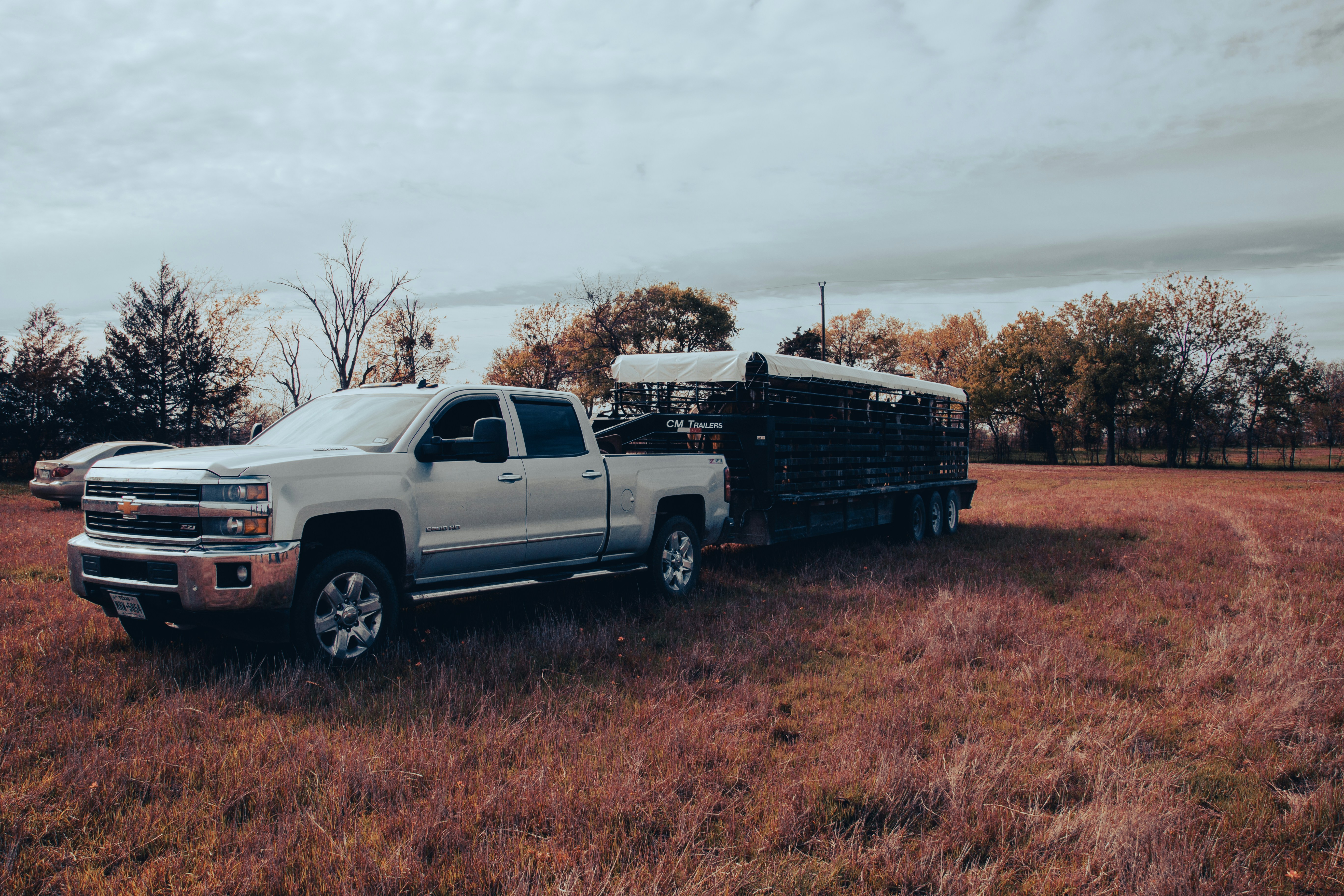 Texas Commercial Auto Insurance Guide