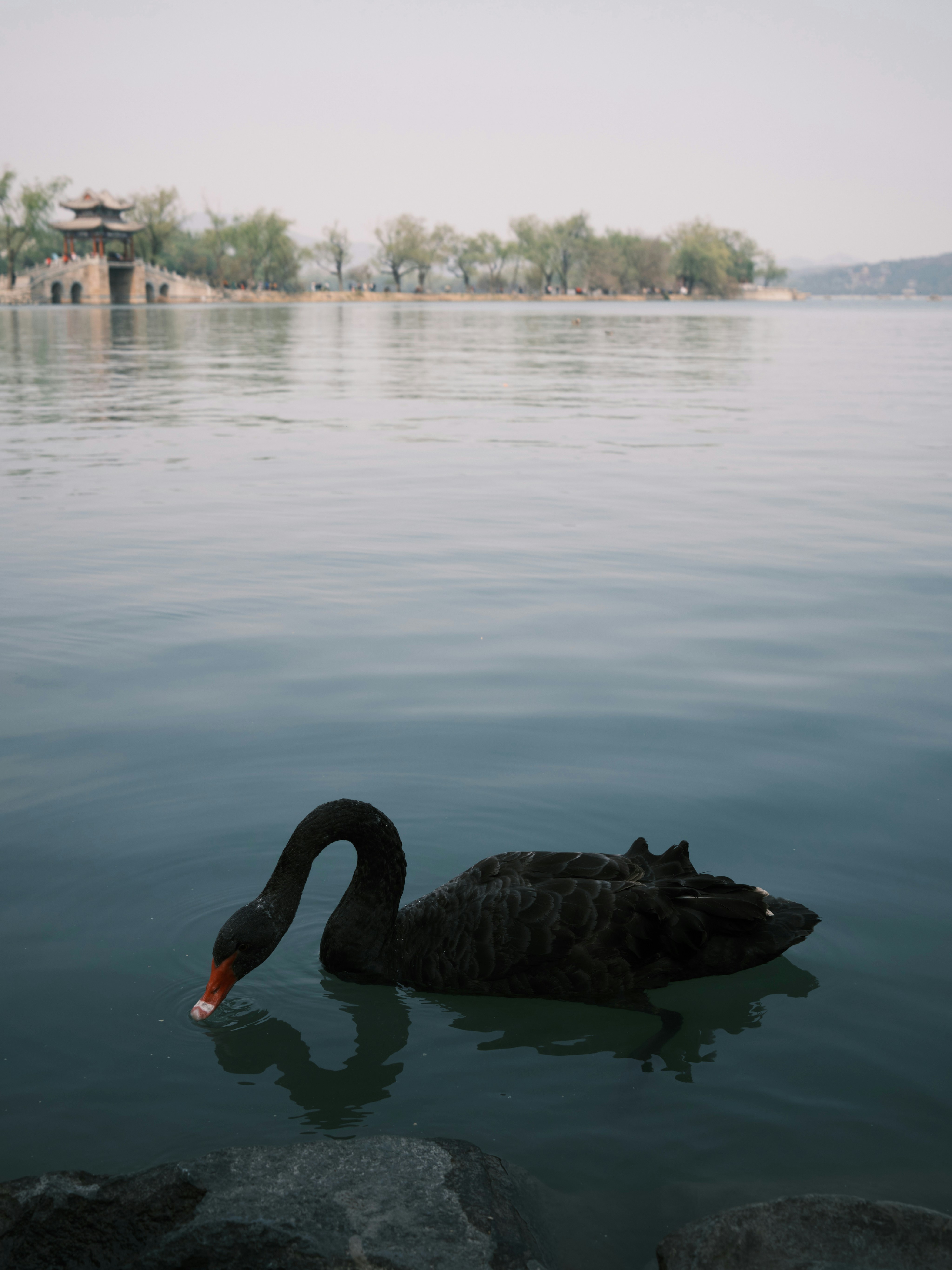 Photo by Jason An with Fujifilm X100V