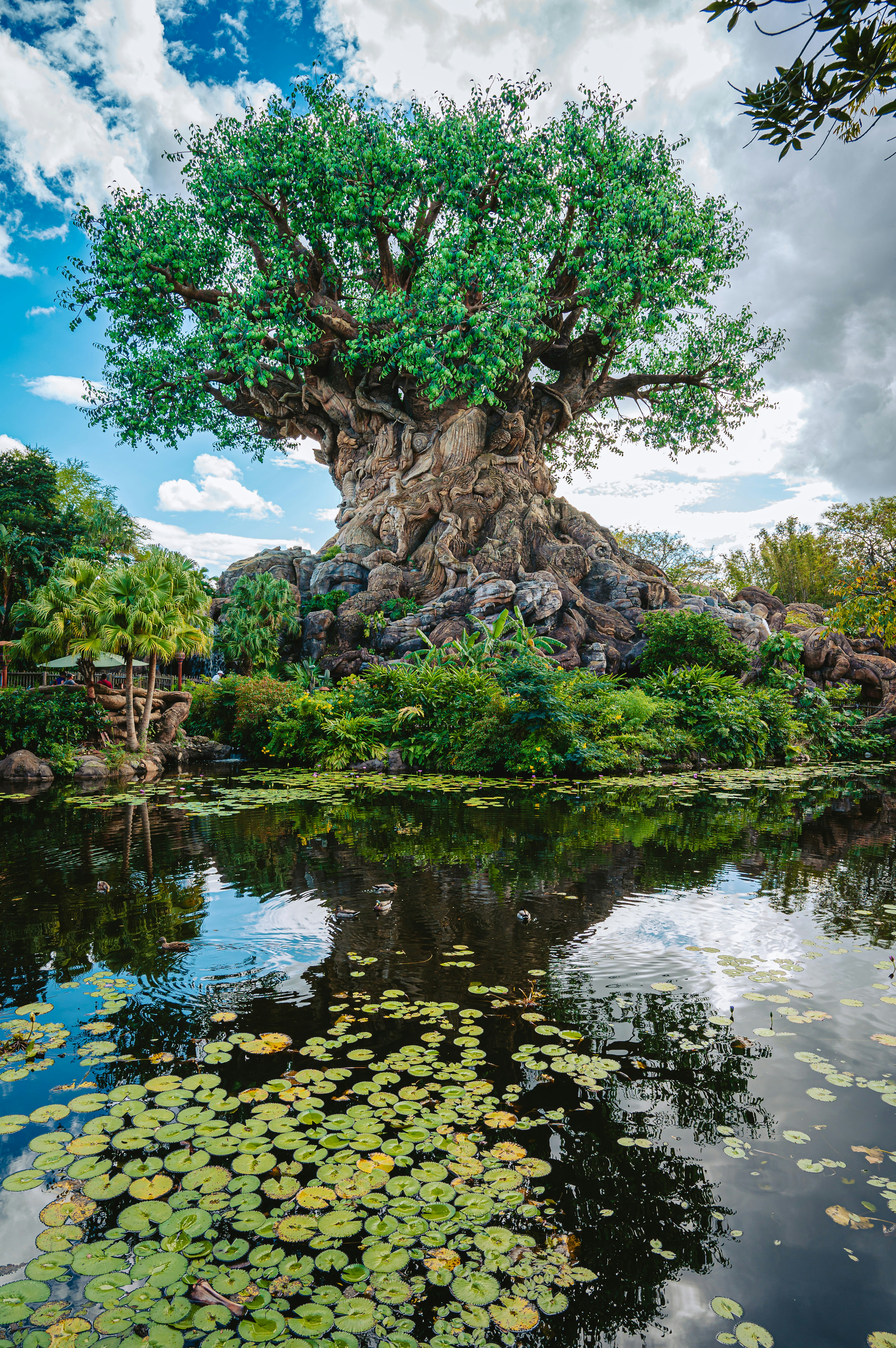 The iconic Tree of Life in Disney's Animal Kingdom which contains over 300 carvings of animals from across the globe. Nestled amid the burrowing roots at the base of the Tree of Life is a serene landscape of pools, meadows and trees—home to a variety of live animals, including lemurs, flamingos, kangaroos and tortoises.