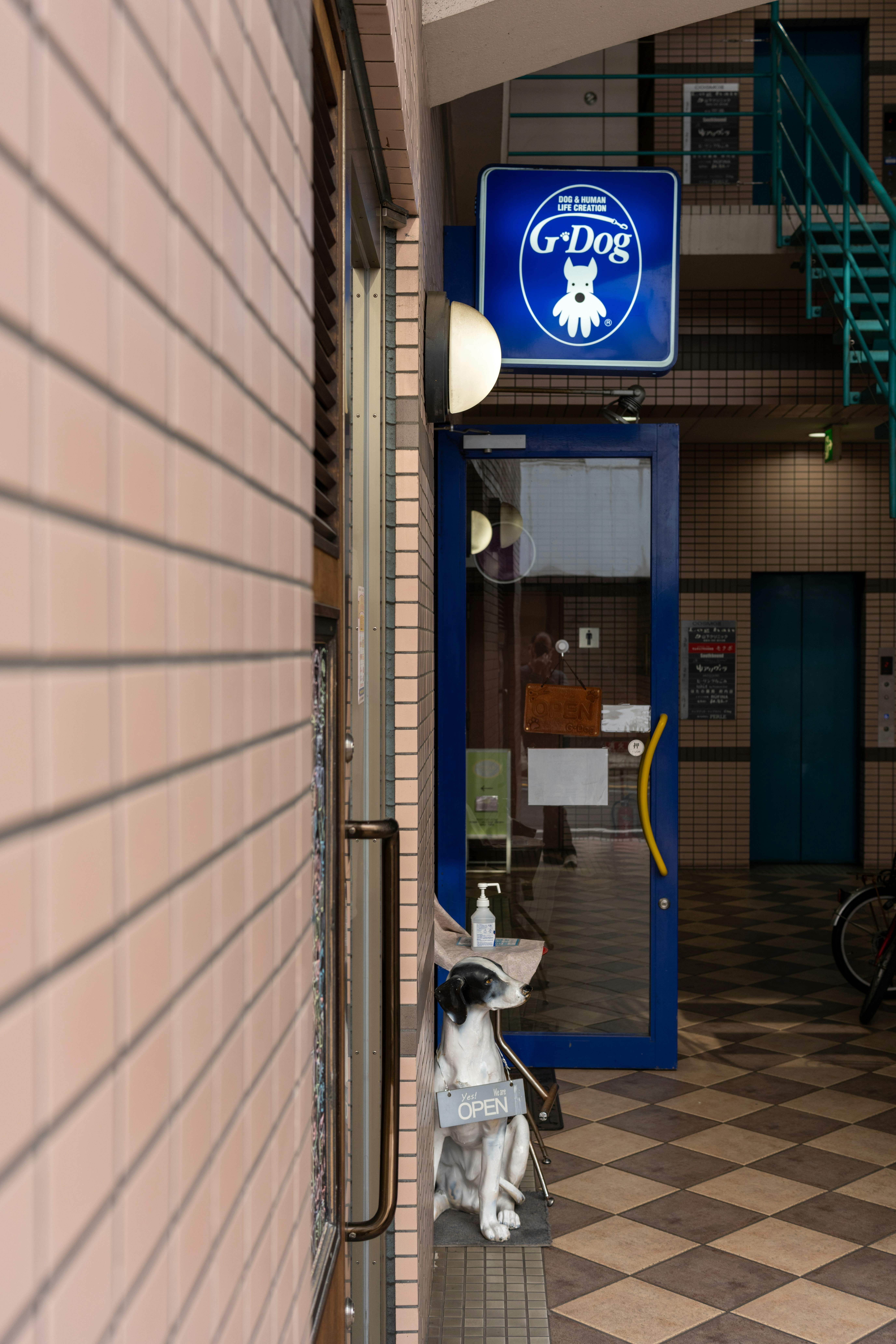 G-Dog at the Entrance: A Quiet Shopfront Moment