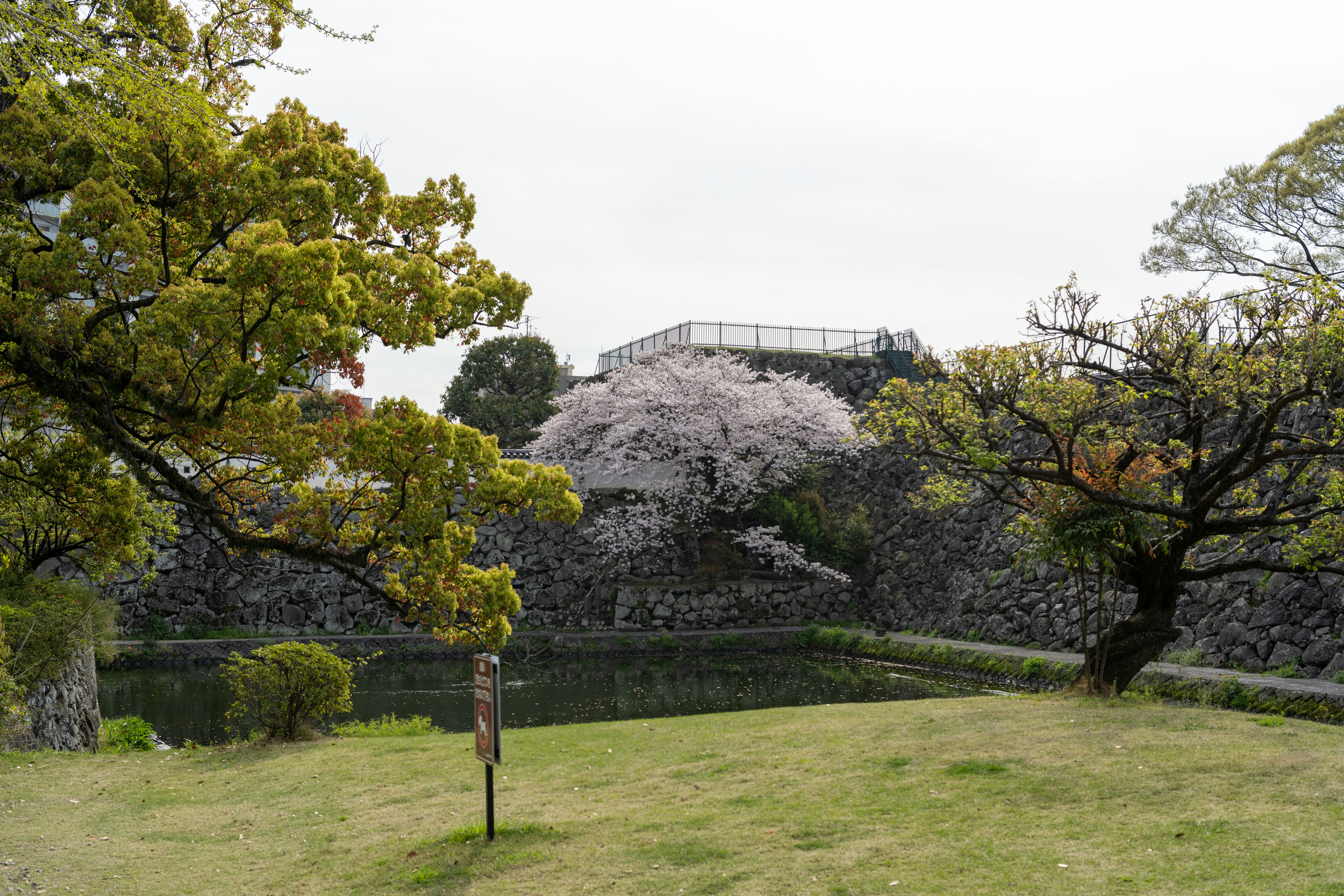 Funaoka Castle Ruins & Kenkun Shrine Kyoto (2025) – Best of TikTok ...