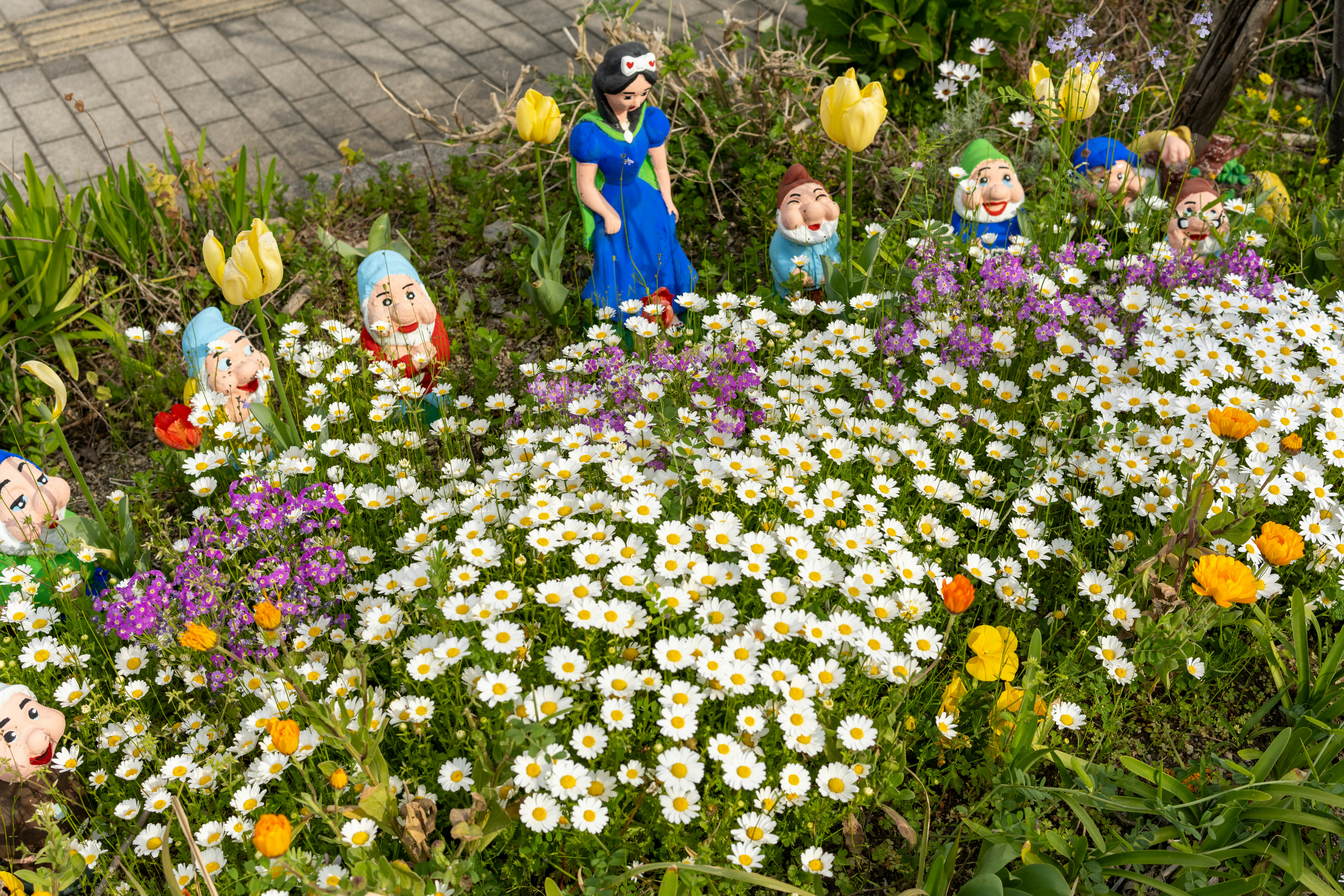 A bunch of flowers that are in the grass photo – Free Flower Image on ...