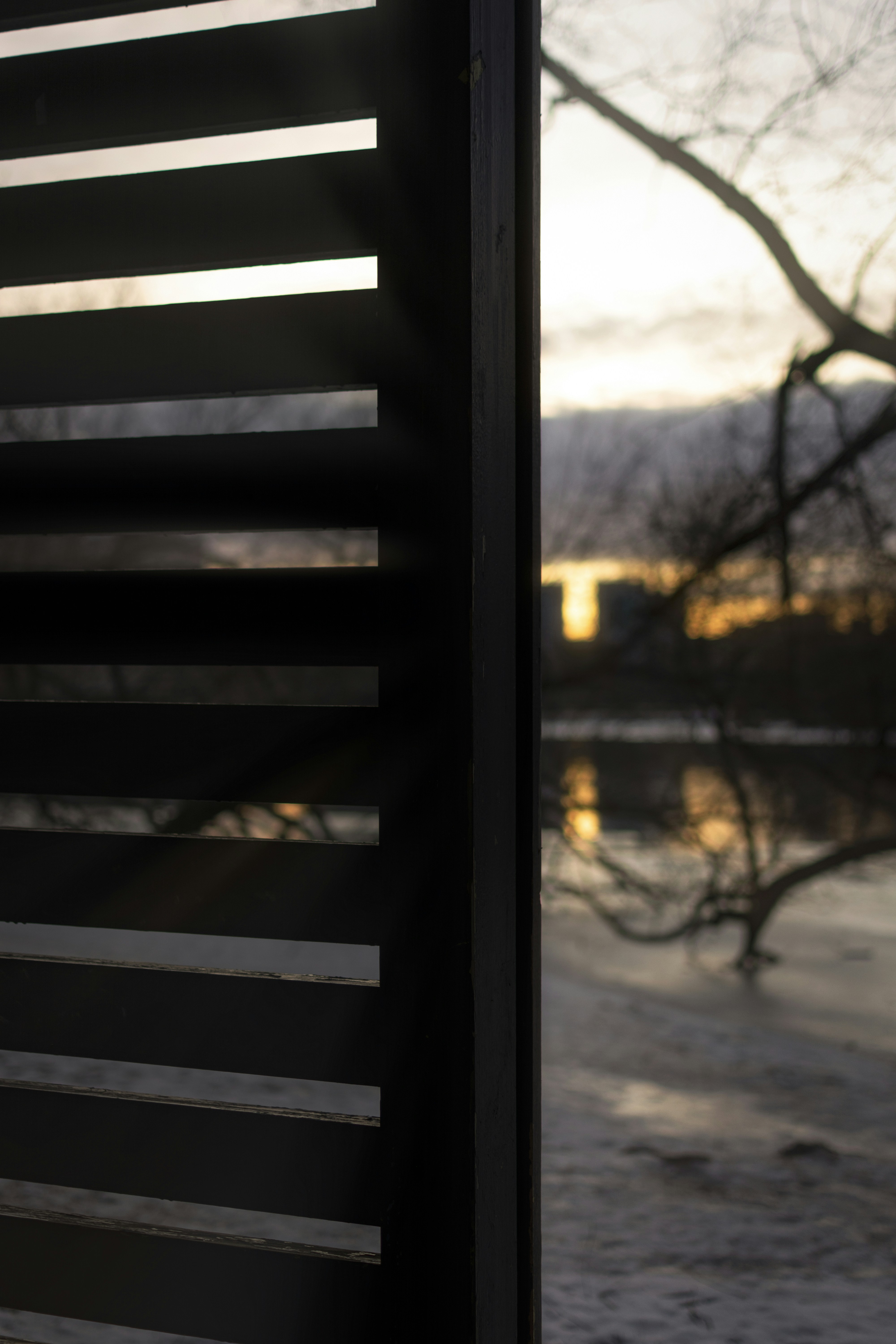 Dusk Through the Slats: Winter Light on Silent Glass
