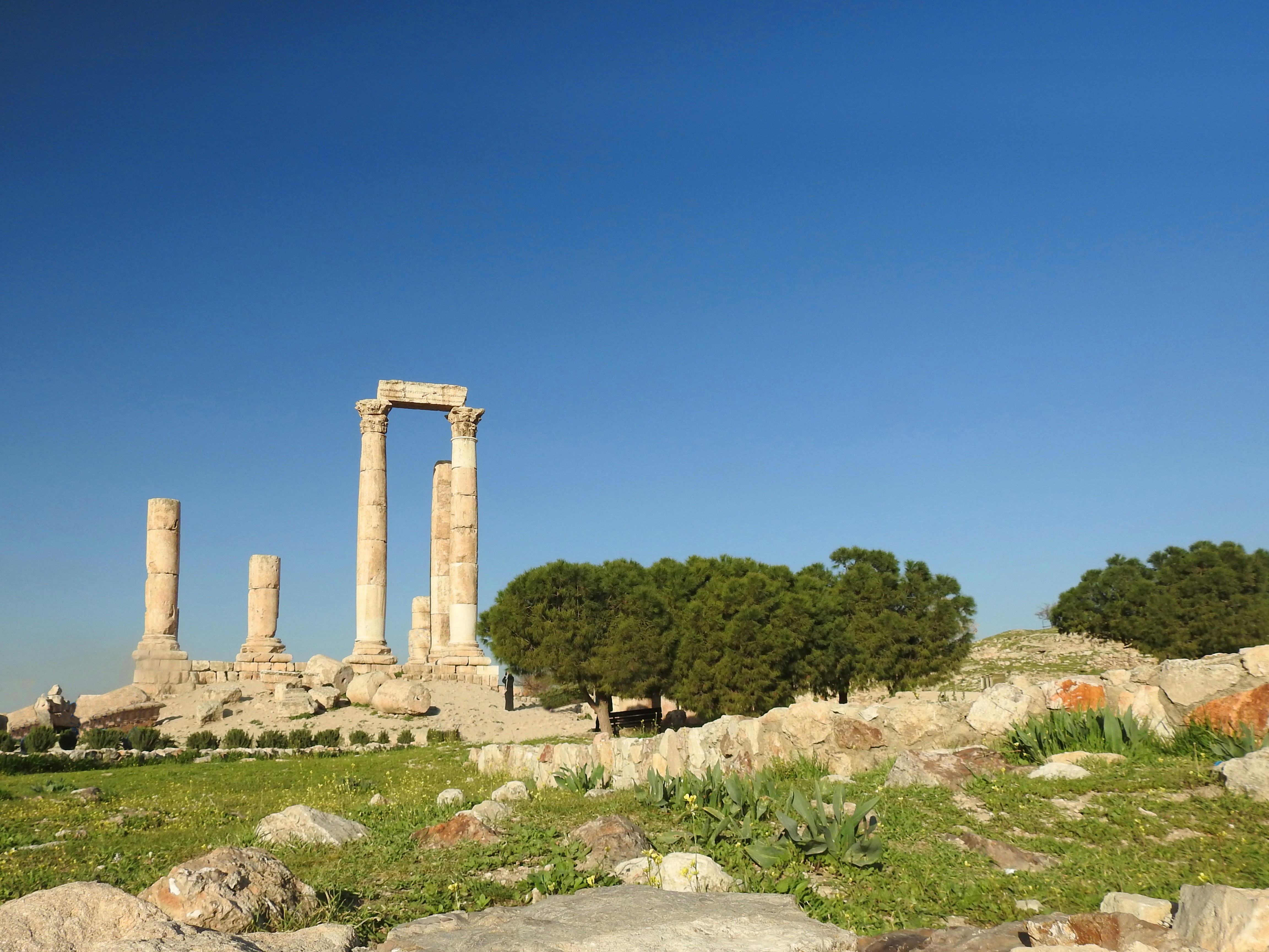 The ruins of the ancient city of palmyran photo – Free Giordania Image ...
