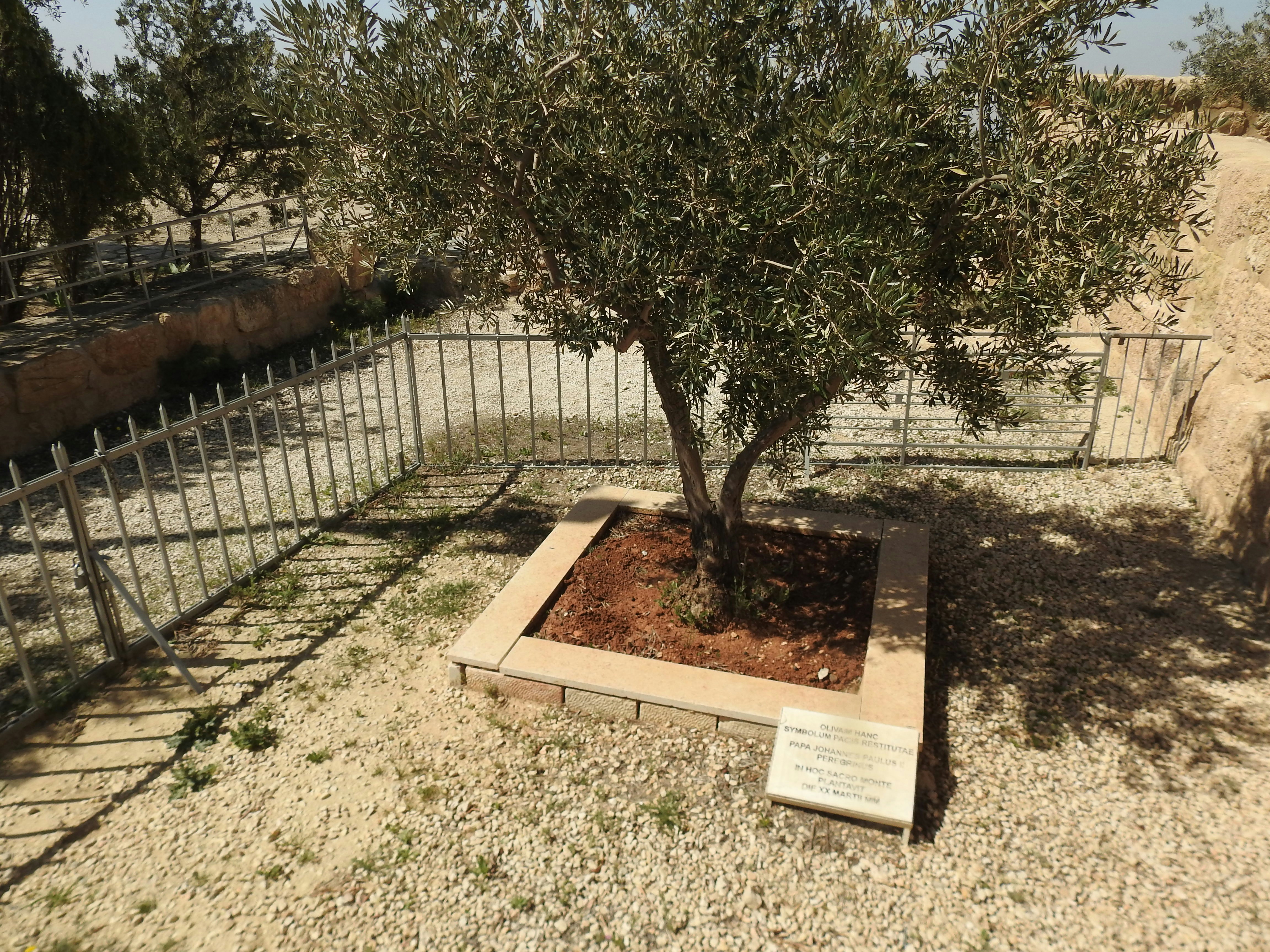 Photo by Pier Averara with Nikon COOLPIX P900