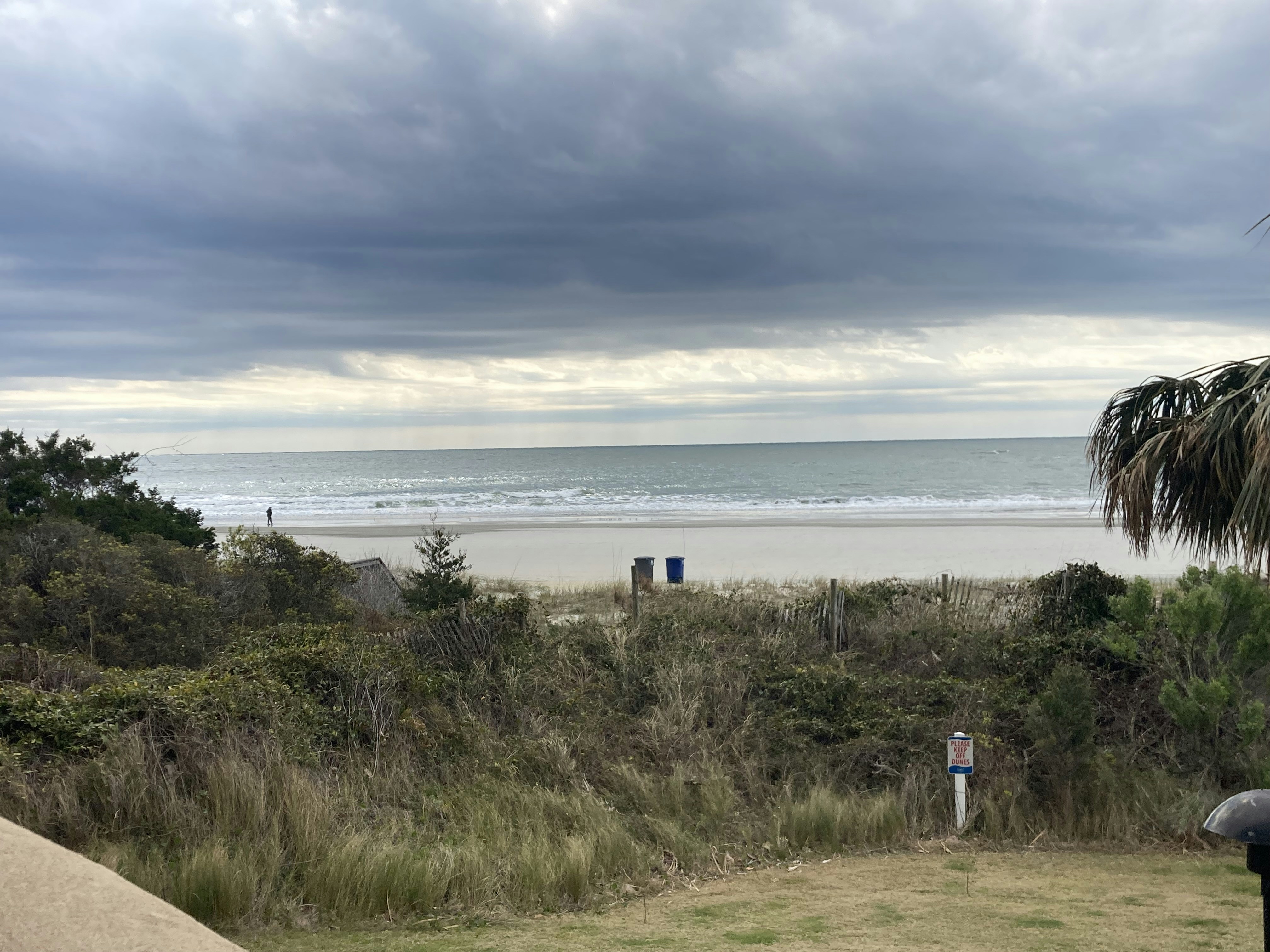 A tranquil beach scene with gentle waves lapping at the shore under a moody sky, framed by lush coastal vegetation.