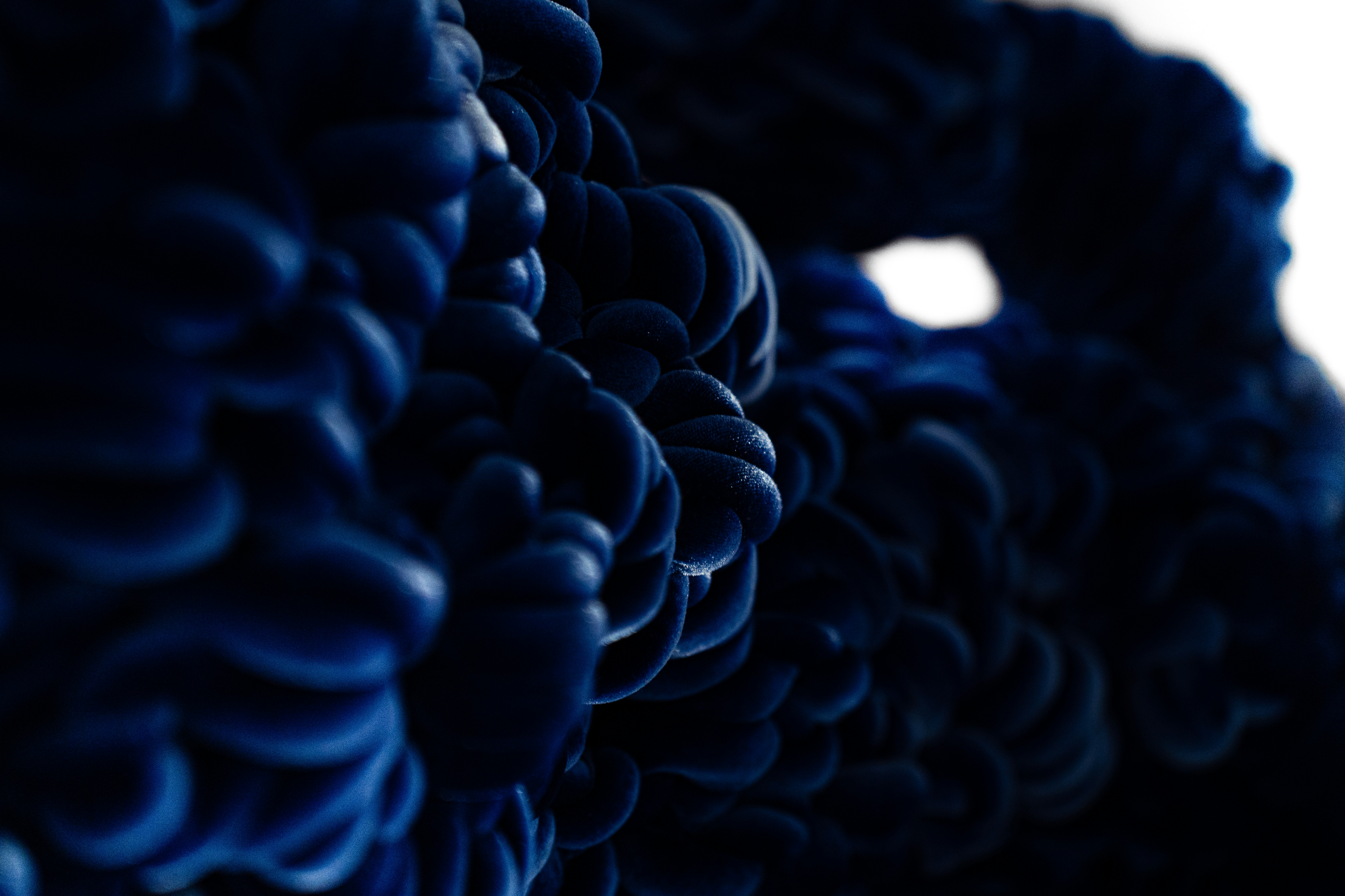 Un primer plano de un montón de objetos azules foto – Imagen de ...