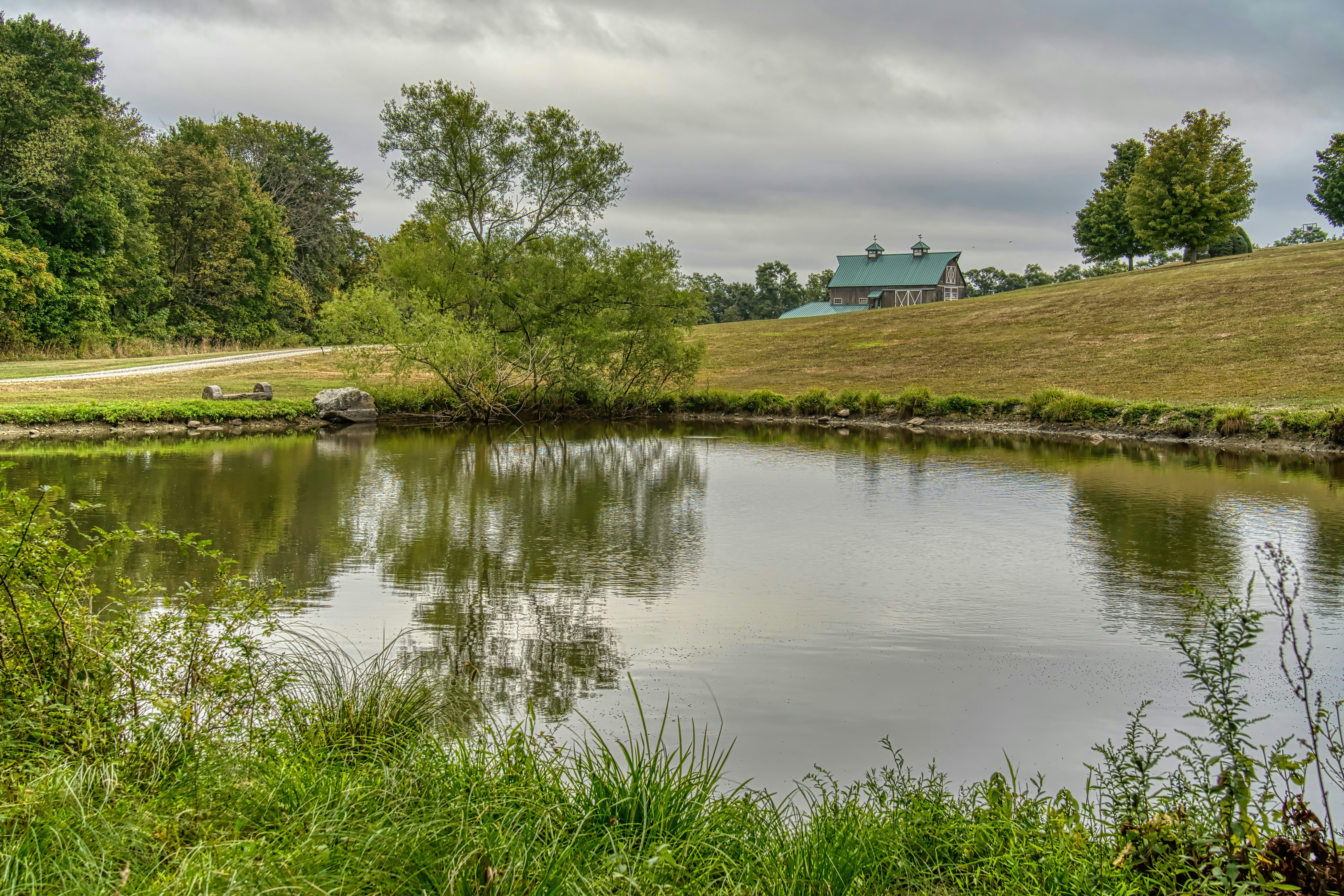 A pond in a grassy area with a house in the background photo – Free ...