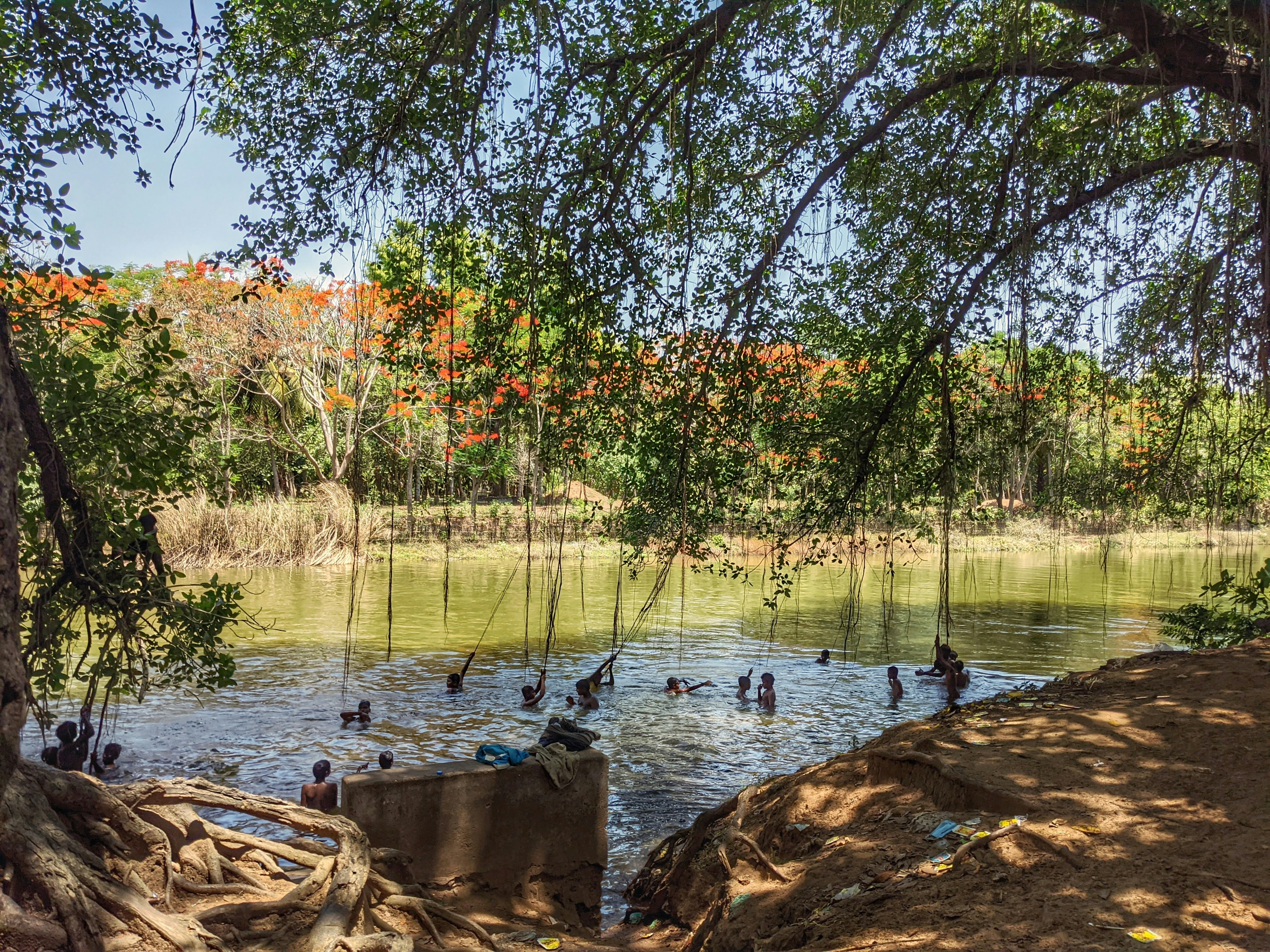 Autumn Riverside Swim: Sunlit Water and a Casual Crowd Under a Fall Canopy