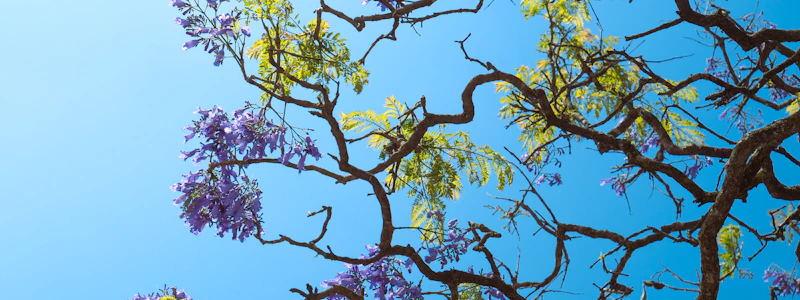Biology: Definition, Scope, and Branches Biology: Definition, Scope, and Branches