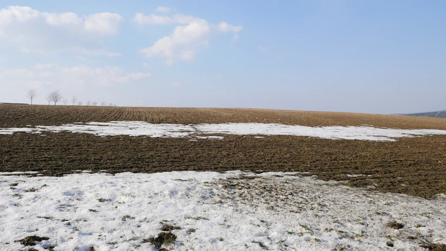 A wide, open field with thin patches of melting snow under a pale blue sky. Sparse trees line the distant horizon.