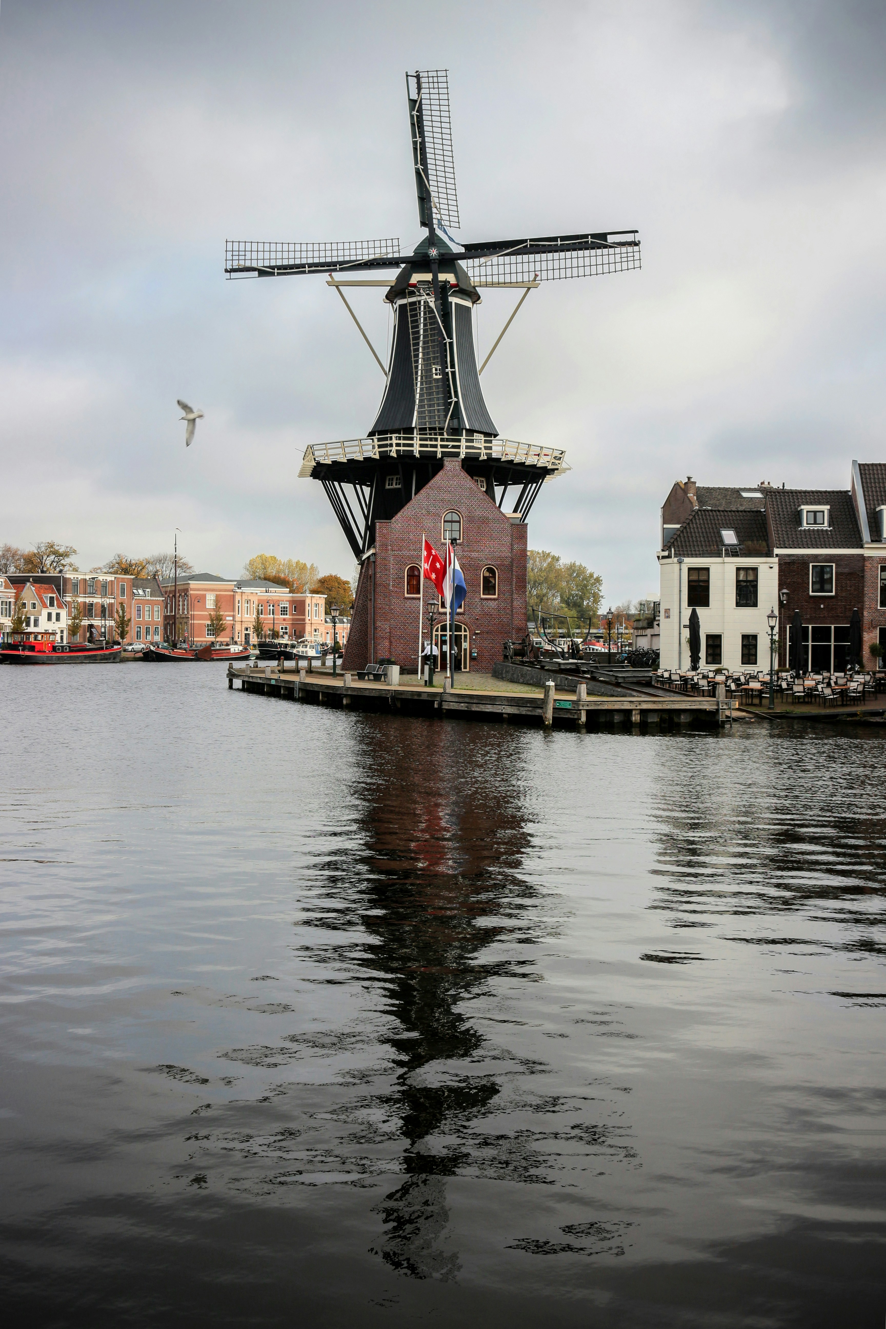 Windmill Sentinel Over a Dutch Canal