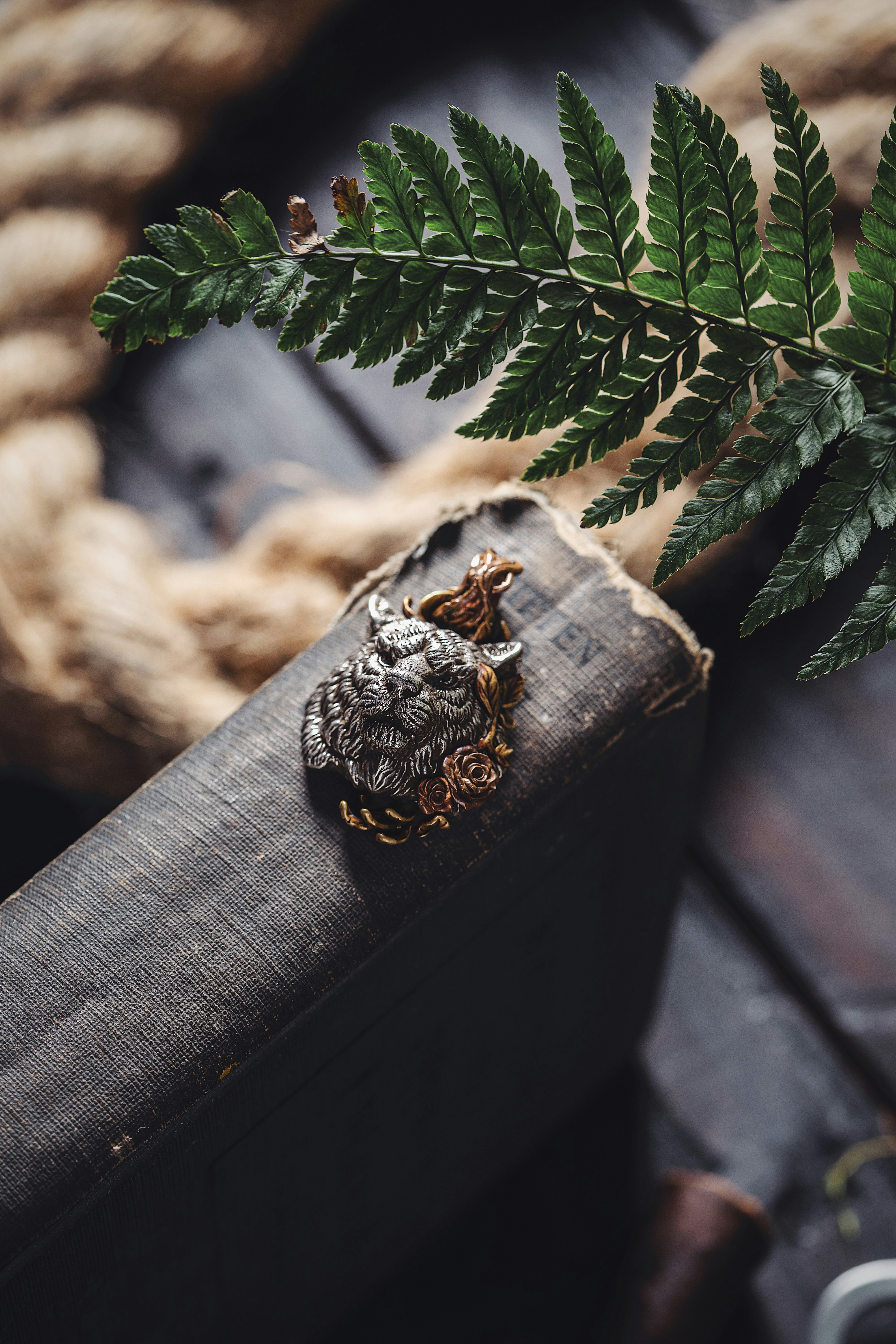 Fern and Ornament: A Quiet Moment on an Old Book
