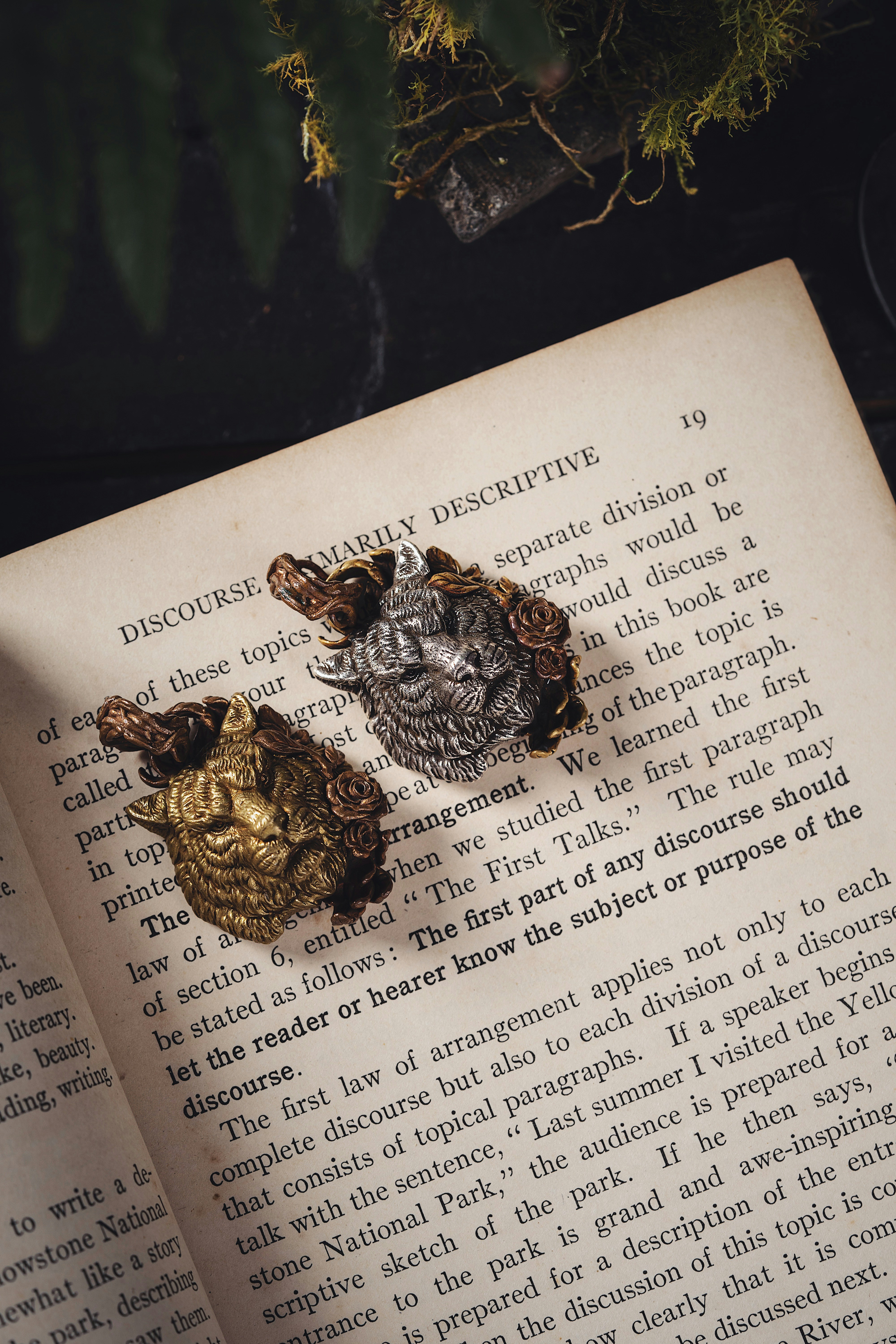A close up of two brooches on an open book photo – Free Page Image on ...