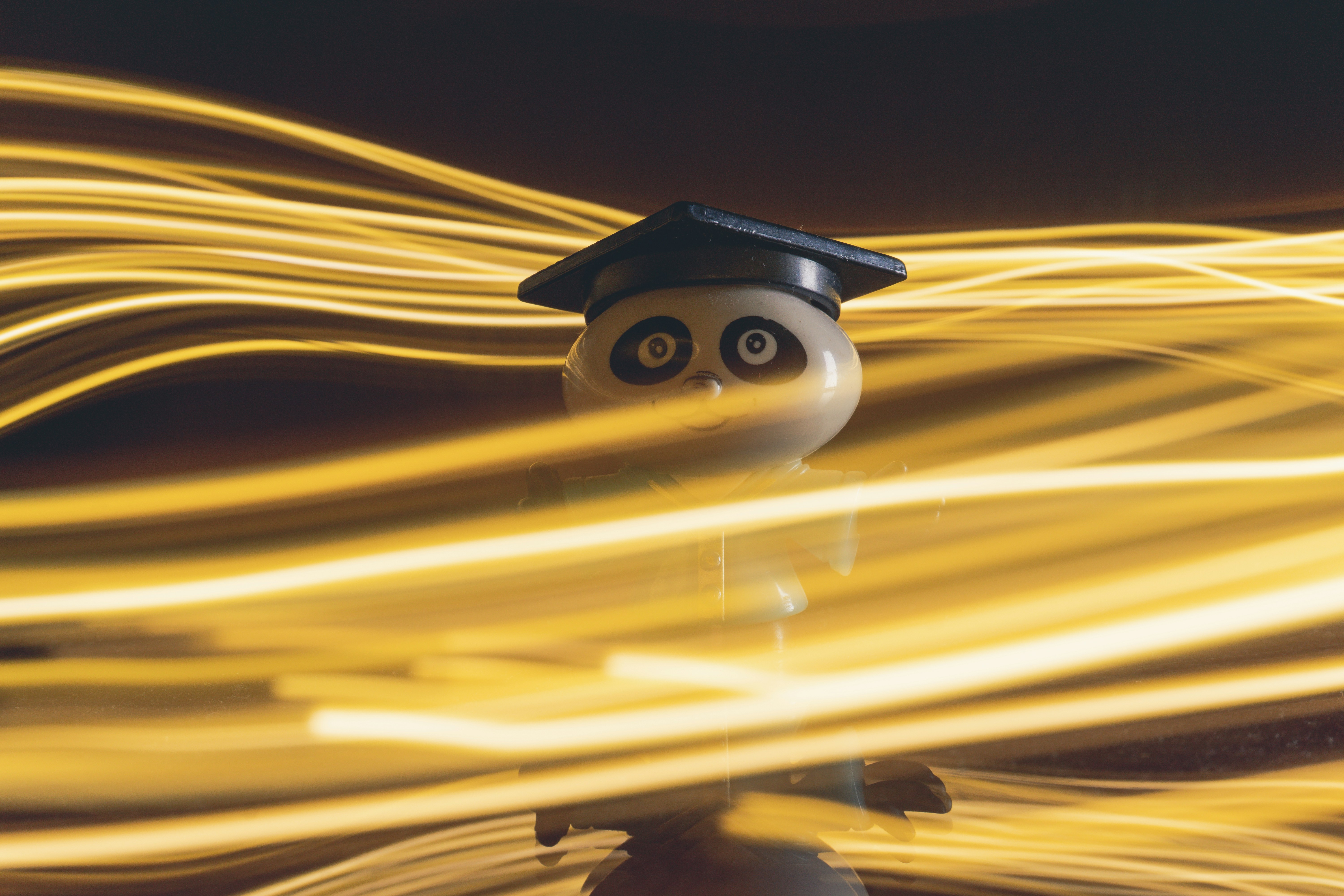 Panda Under a Ribbon of Light: Graduation Cap Amid Golden Trails