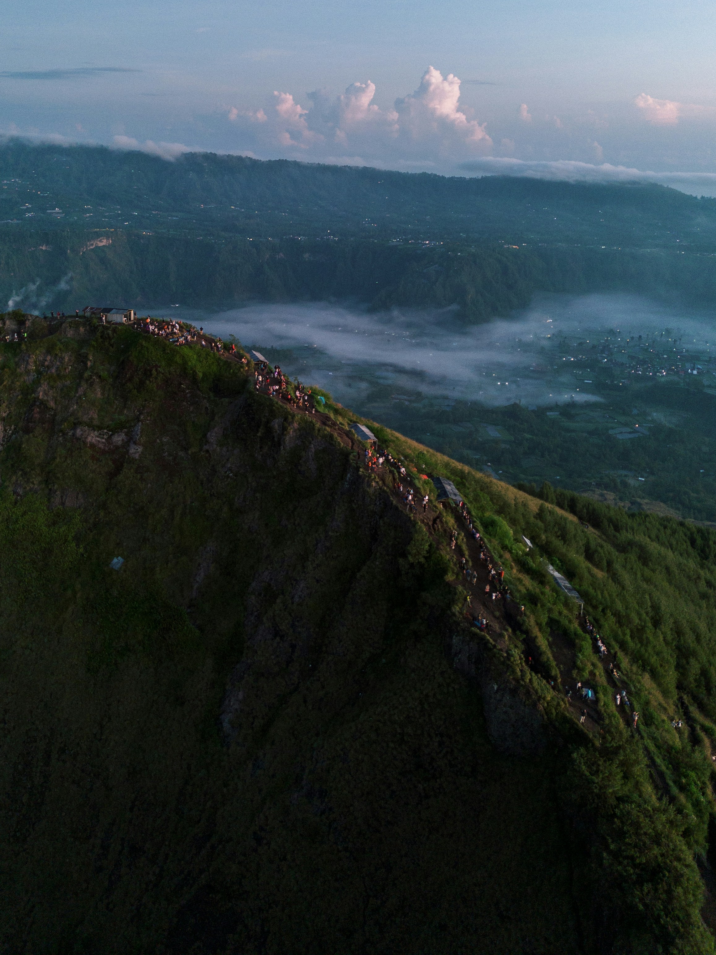 a group of people standing on top of a lush green hillside