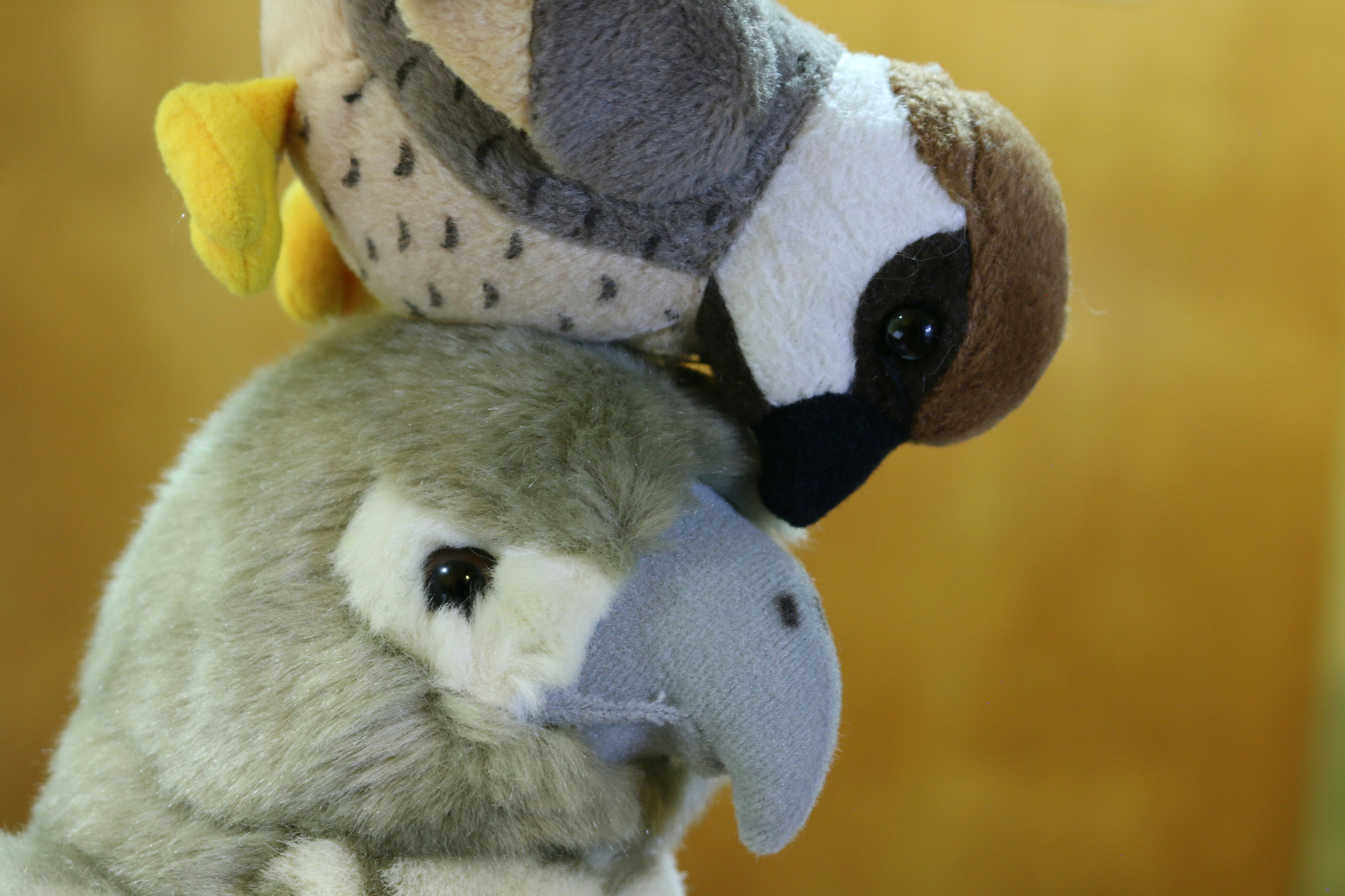 A stuffed bird and a stuffed bird on top of each other photo – Free ...