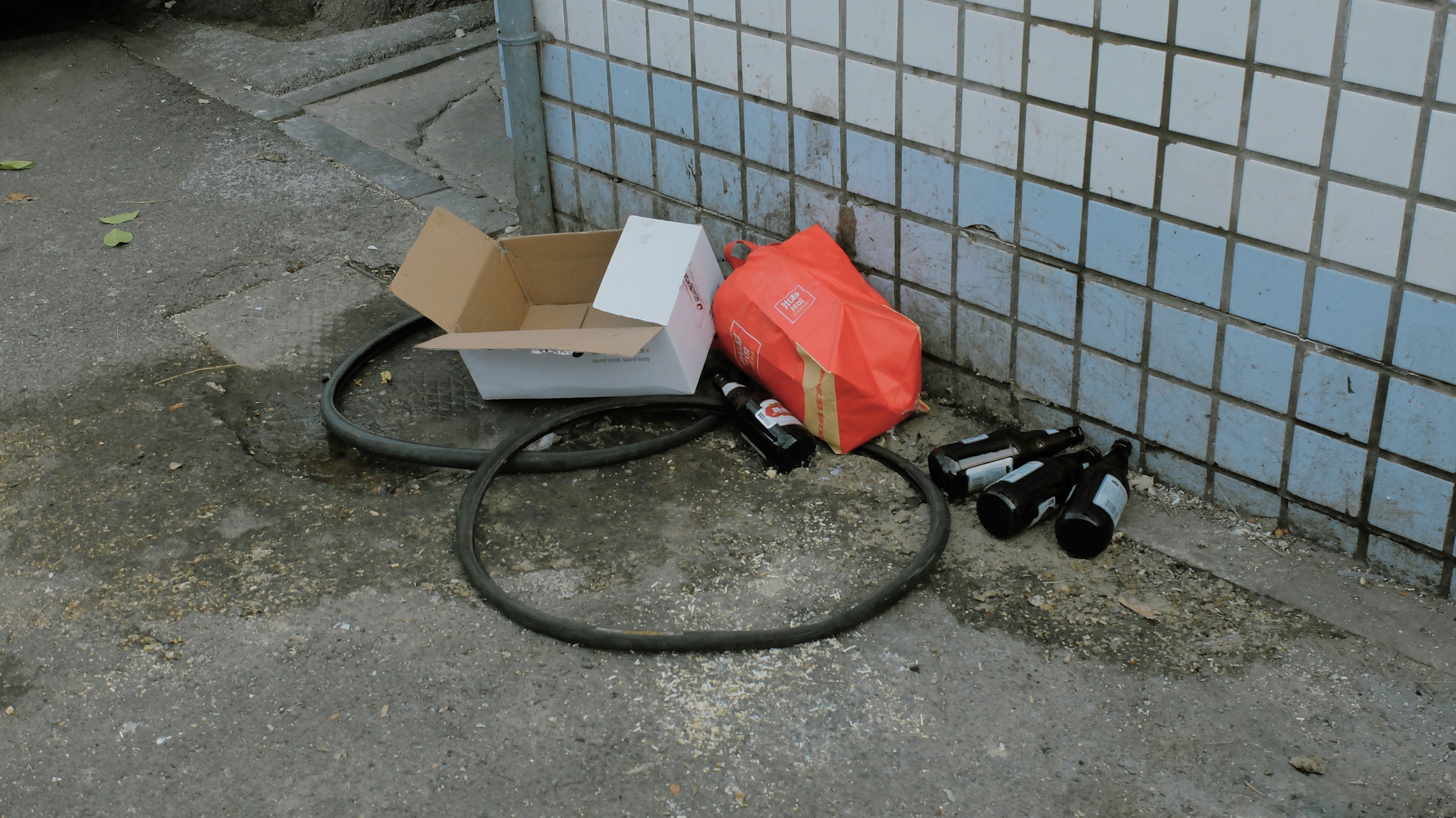 Murong Li (@mumuphotography) | Komunitas Foto Unsplash