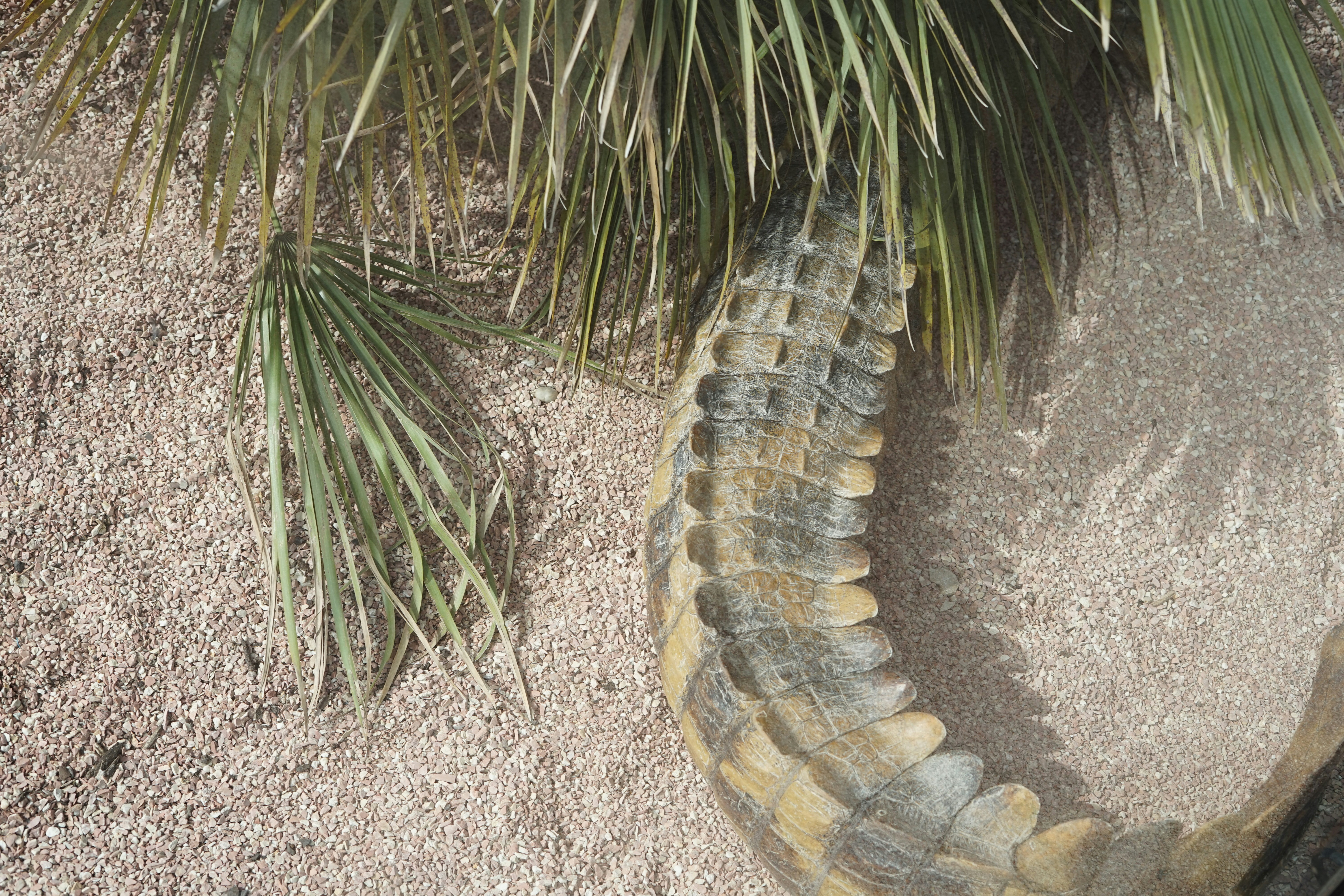 Photo by Thomas Vogel with Sony Alpha 7