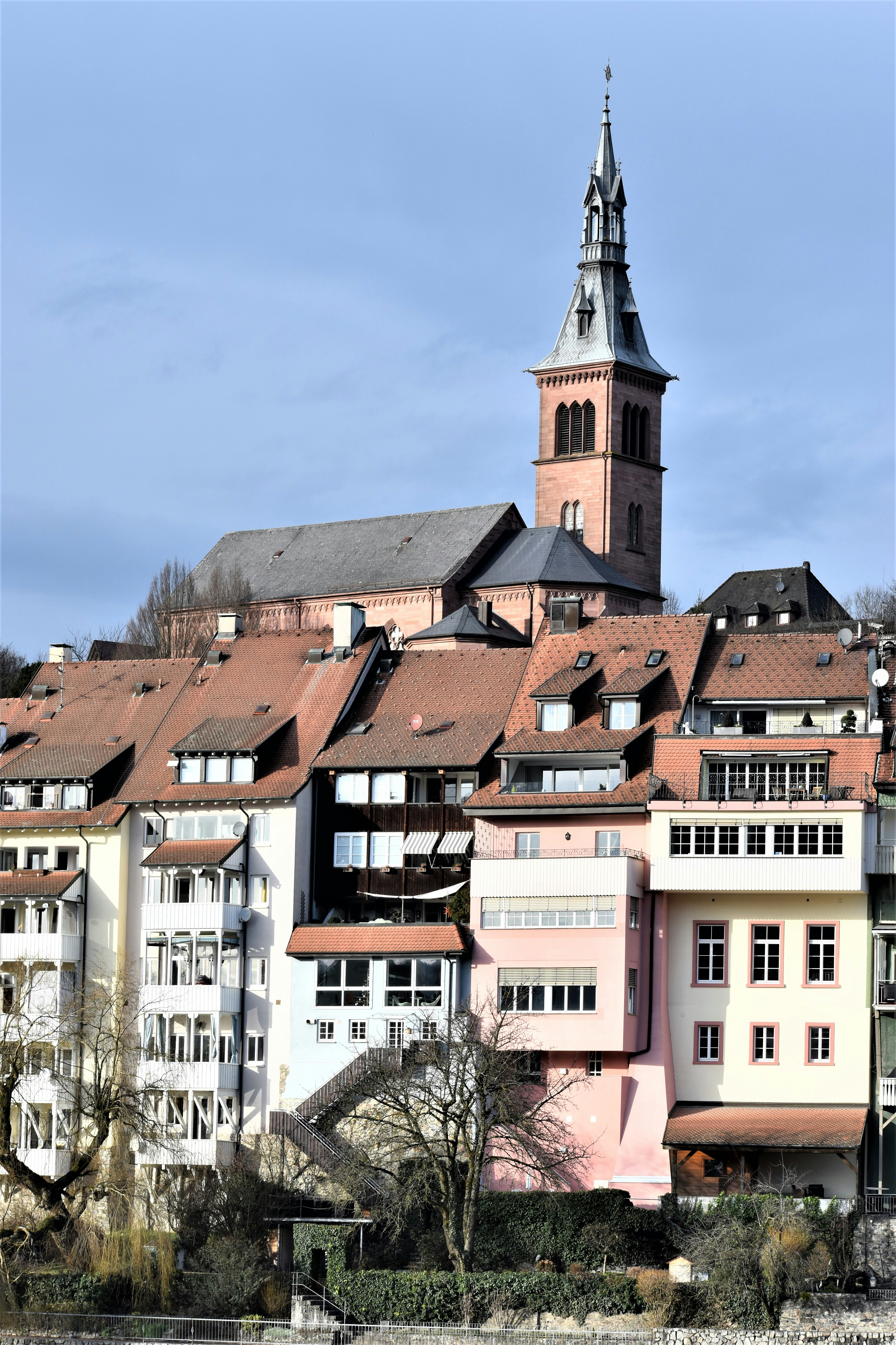 Spire Over the Tile Parade: Pastel Rooftops and a Gothic Tower