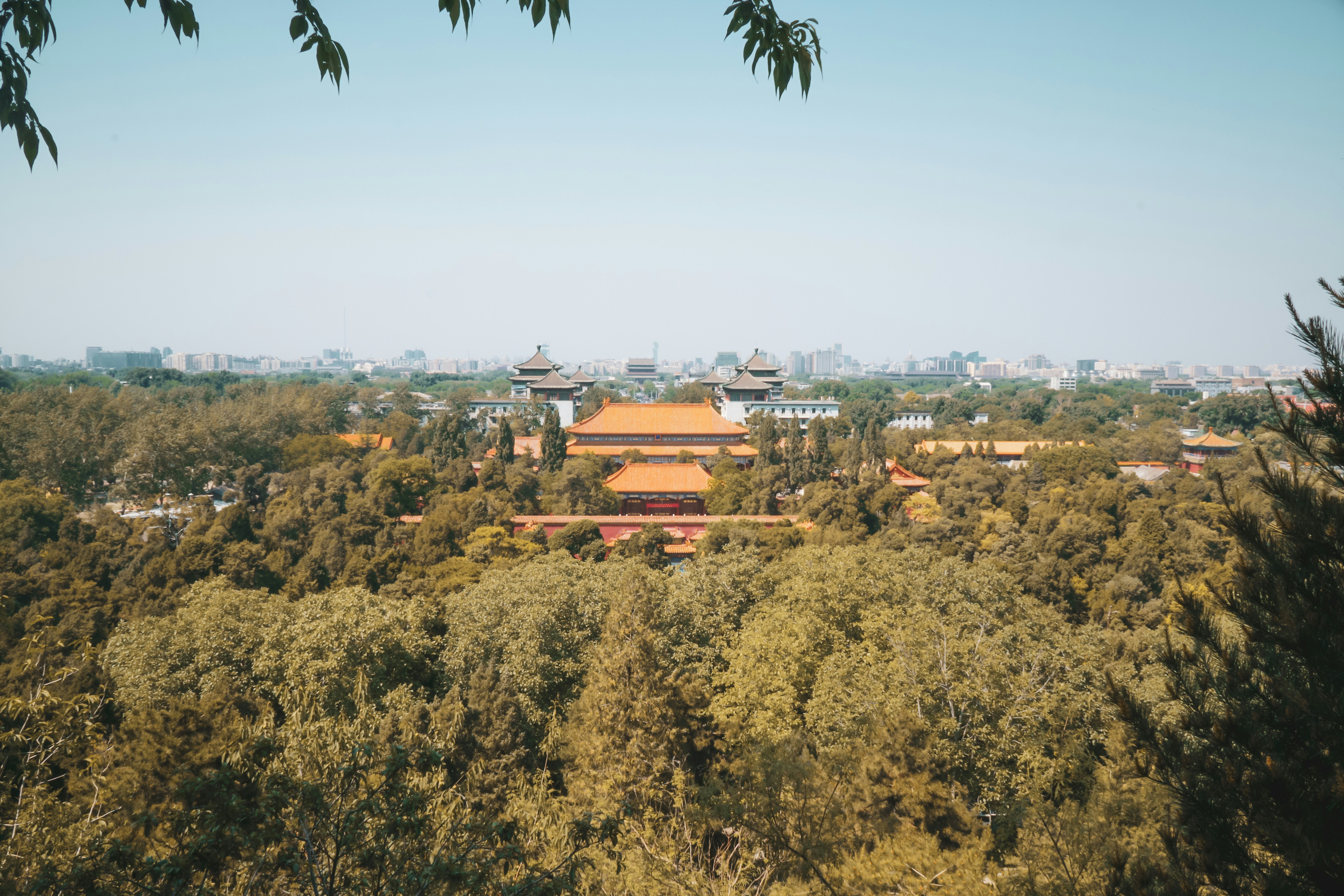 China's traditional building, in the forest.