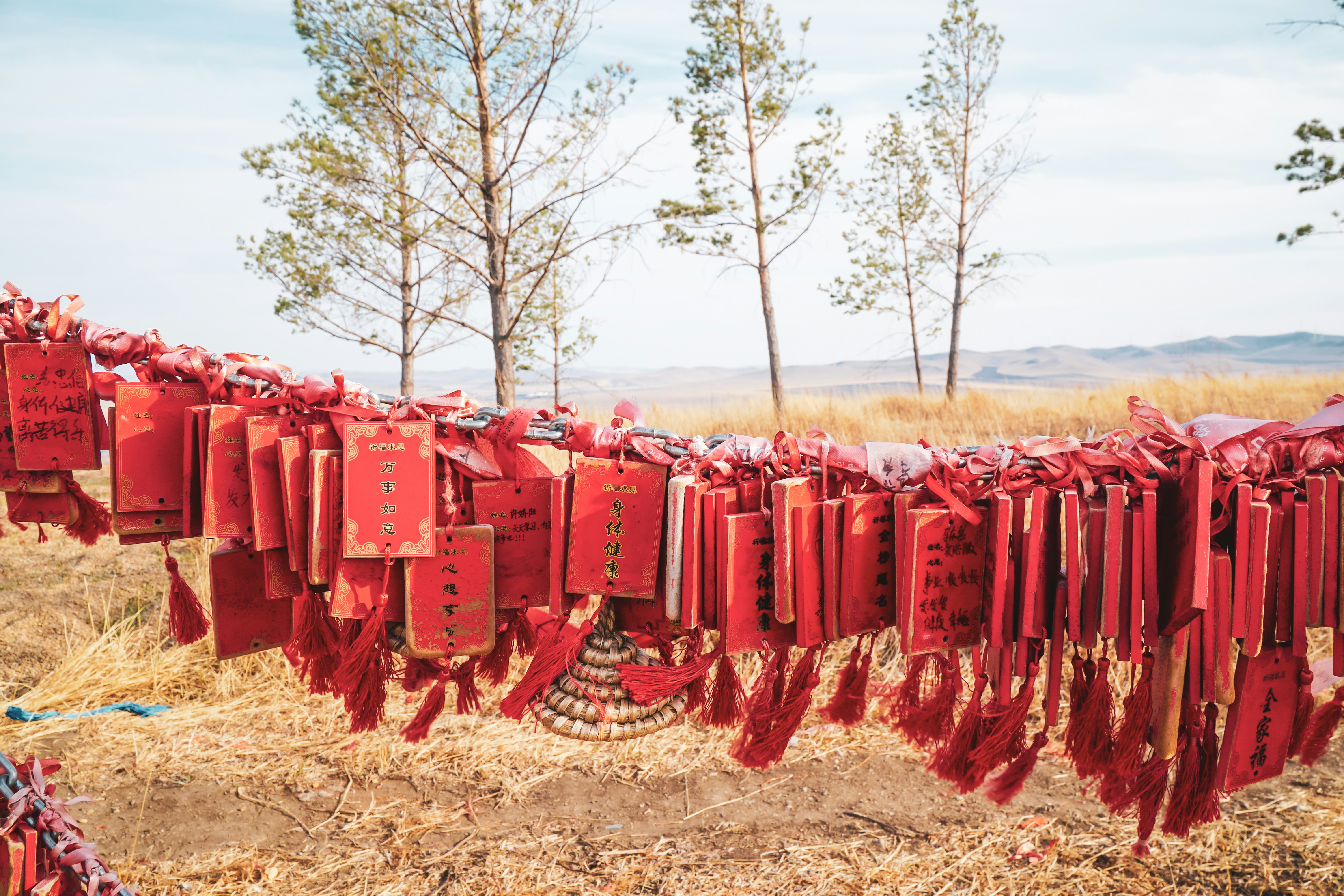 A string of red ribbons hanging from a tree photo – Free China Image on ...