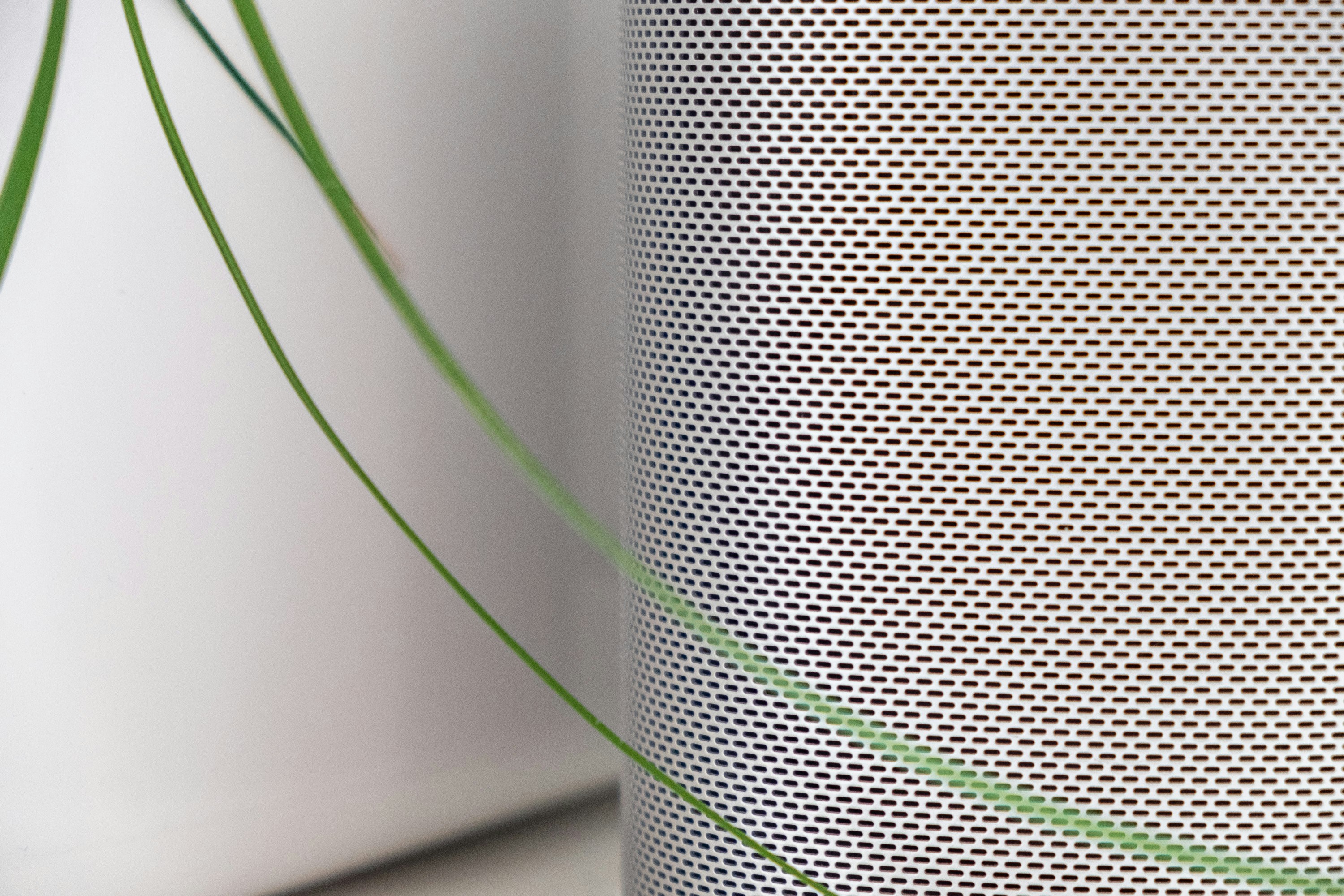 Close-up of a green plant stem against a backdrop of a perforated speaker surface.