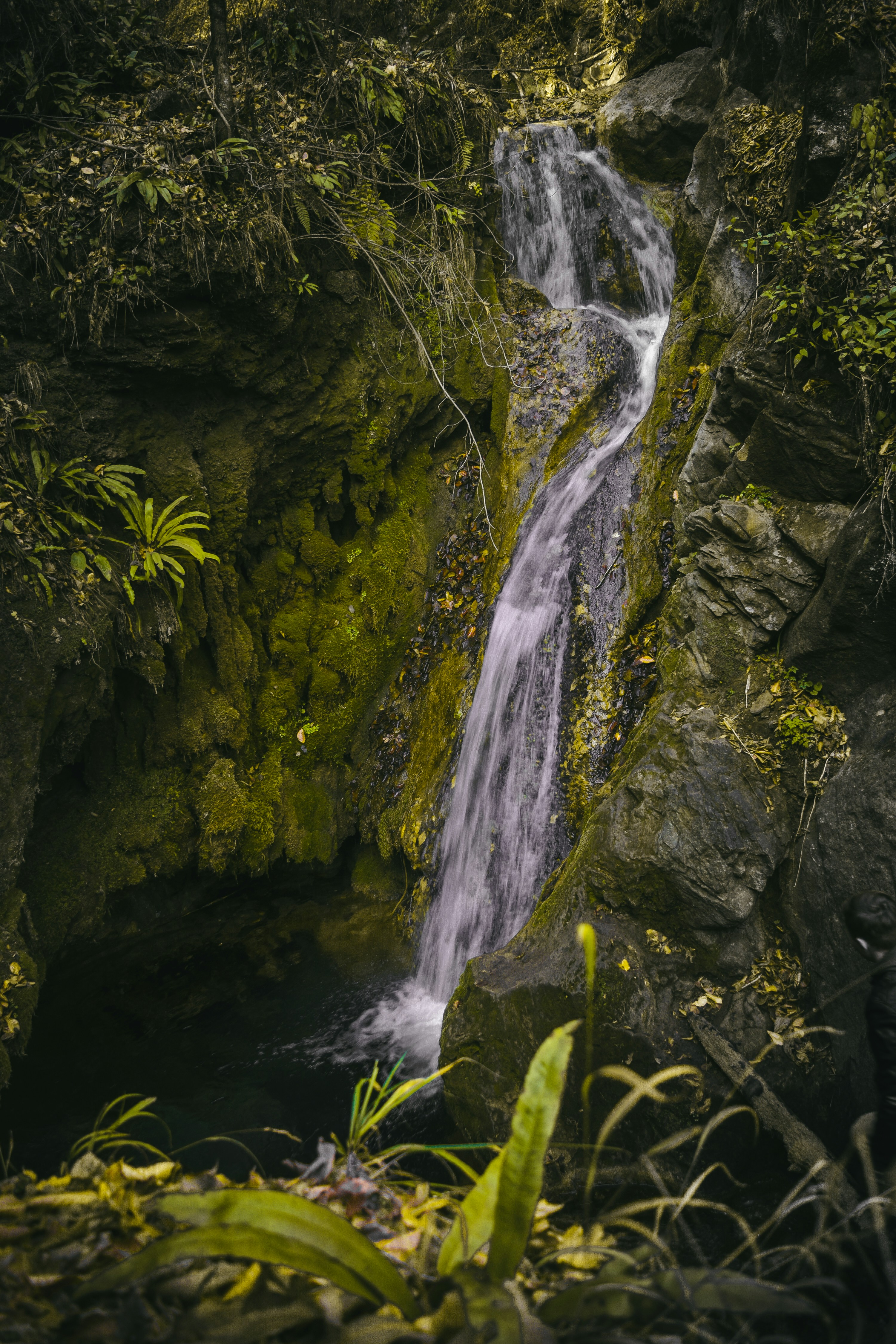 Mossy Ribbon Cascade Framing a Narrow Jungle Gorge