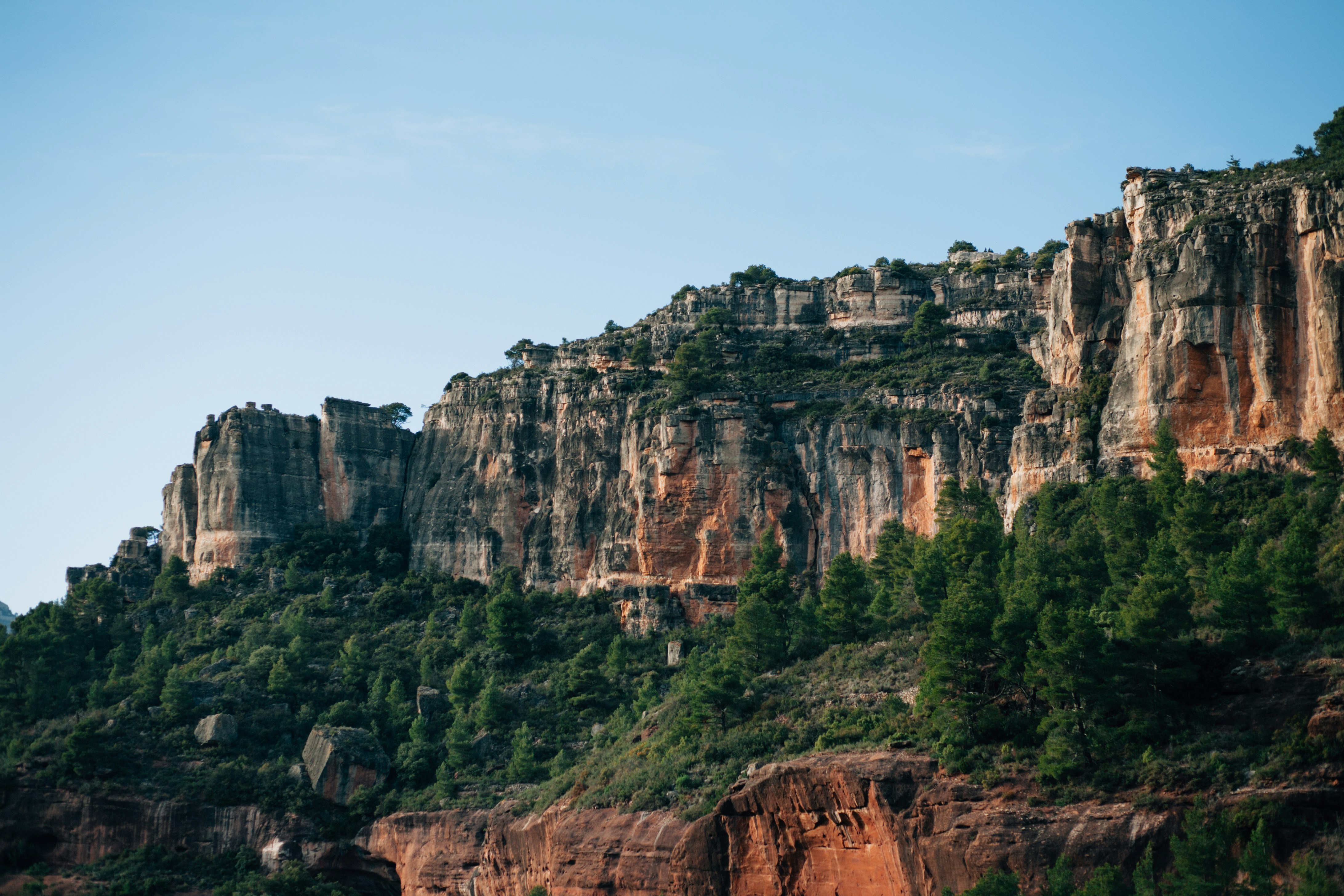 Une montagne rocheuse avec des arbres sur le flanc photo – Image ...