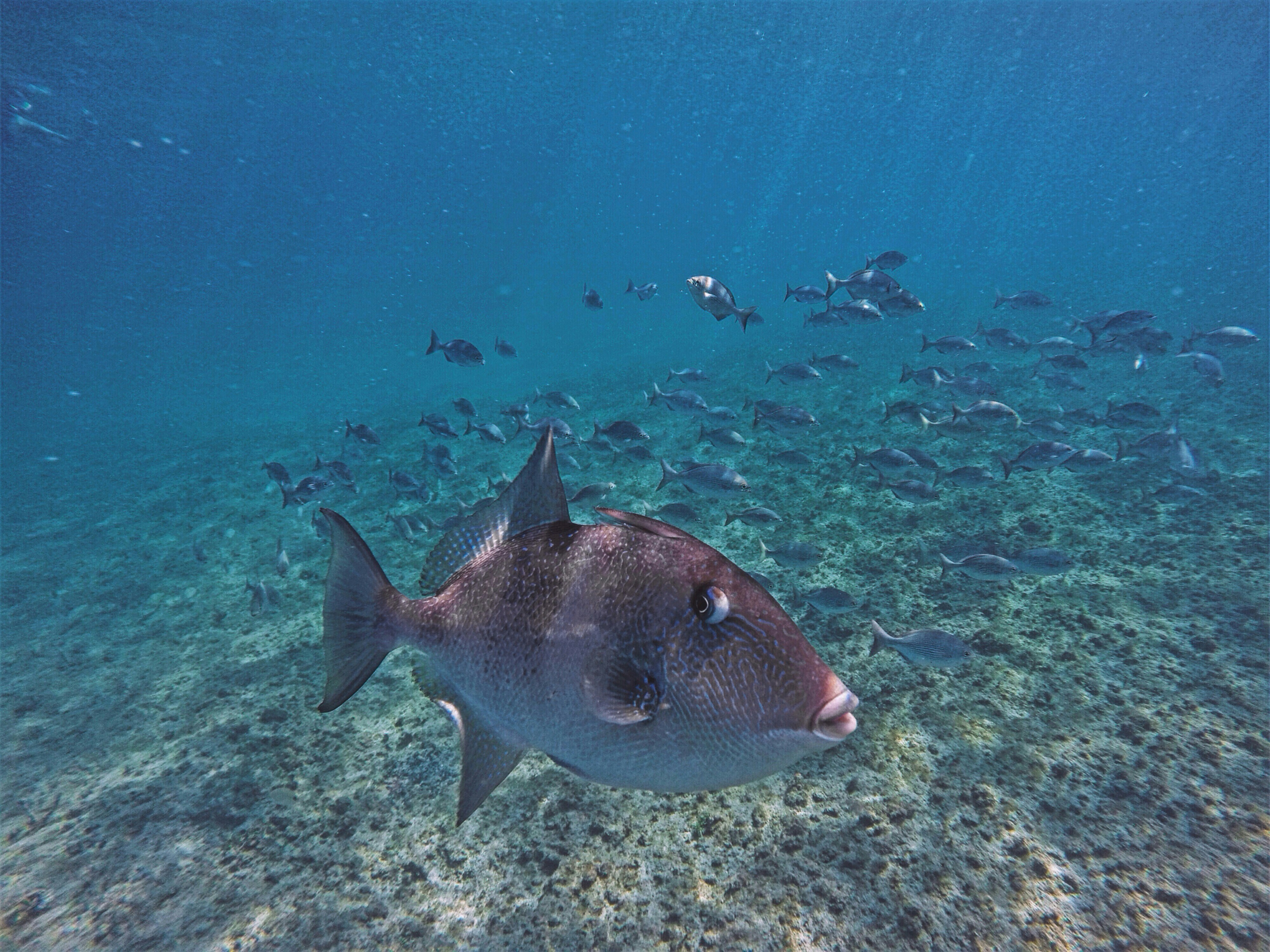 Oceanography Pictures | Download Free Images on Unsplash