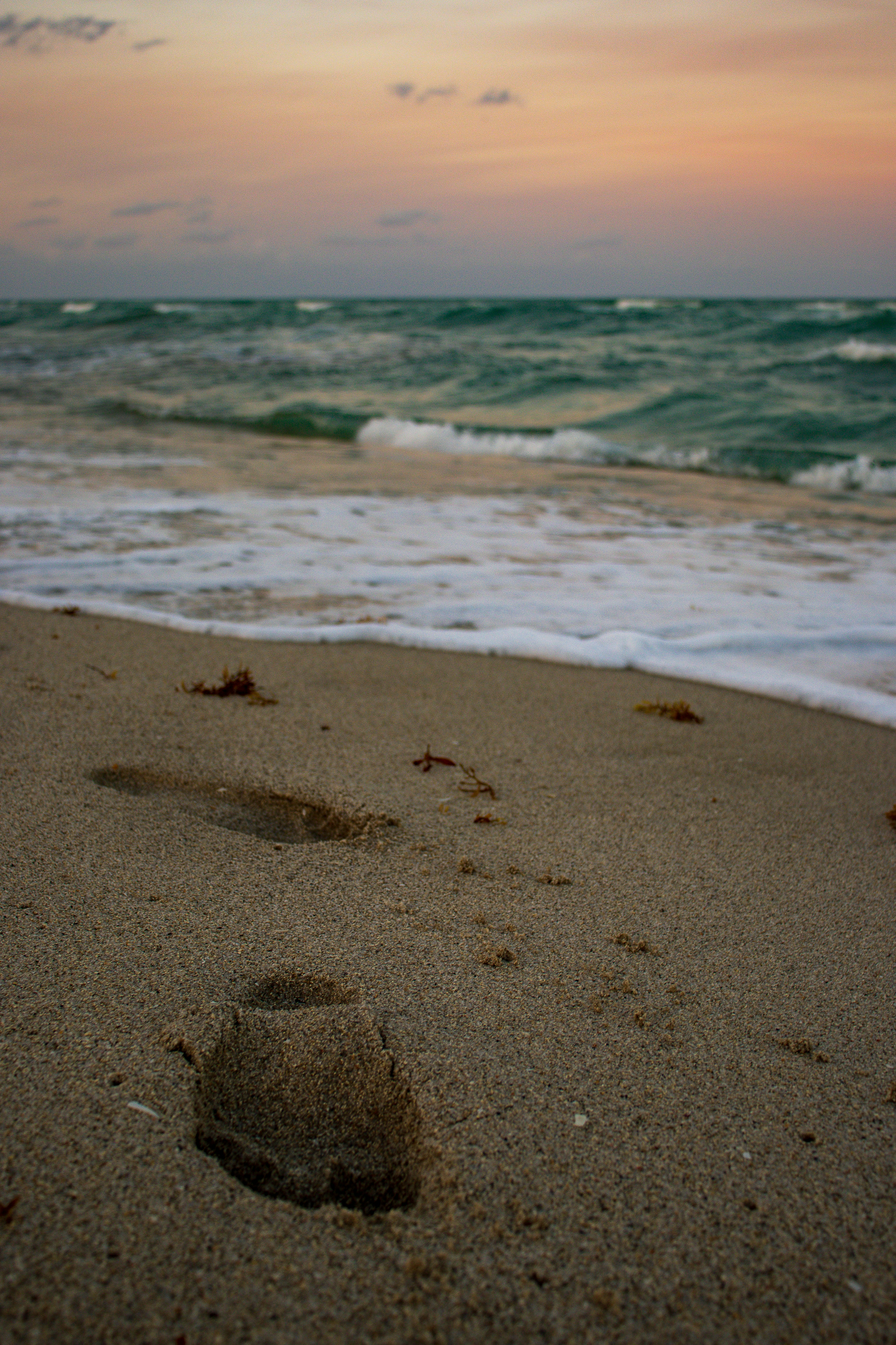 Footprints at Dusk: Traces of the Tide