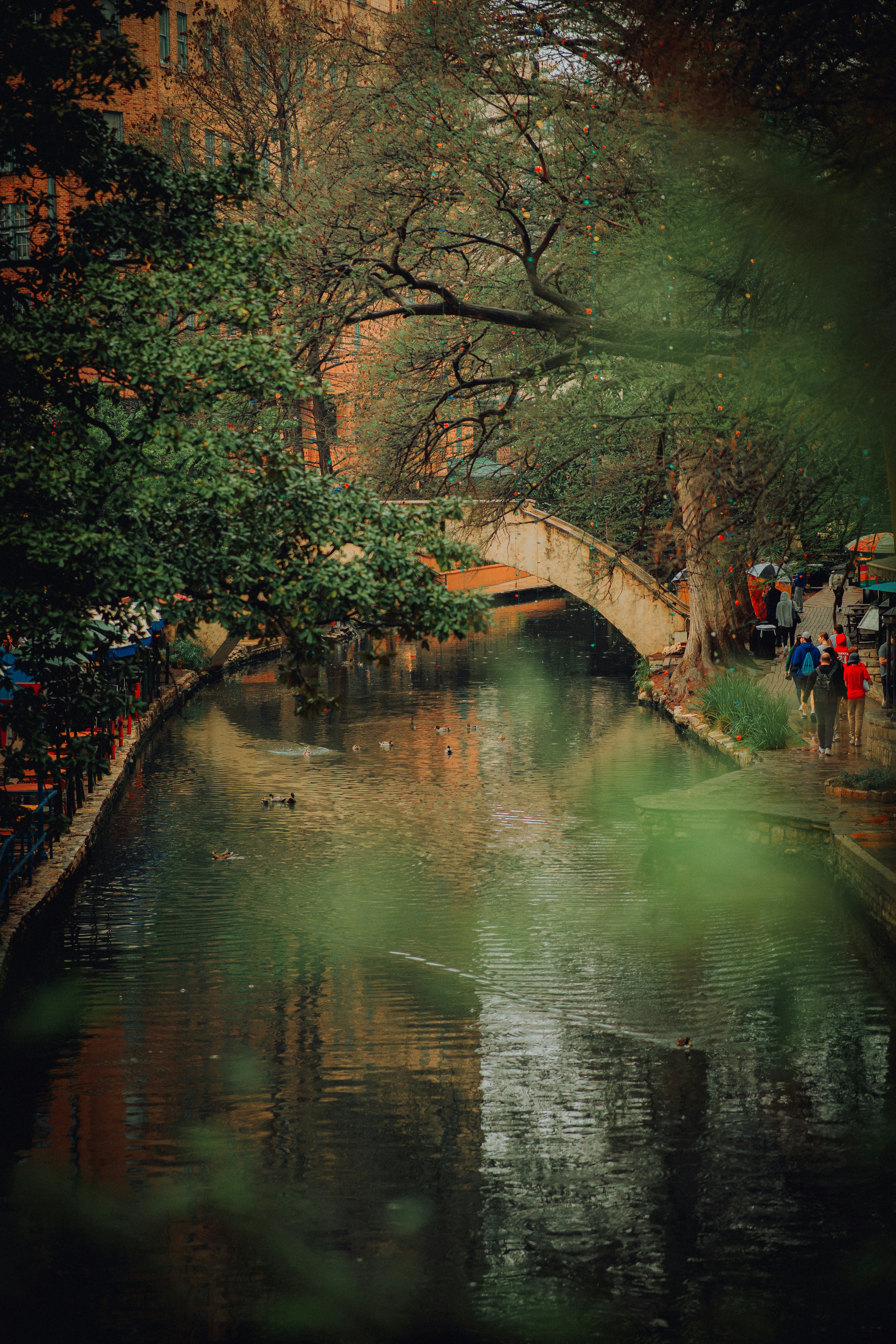 People walking on a bridge over a river photo – Free River walk Image ...